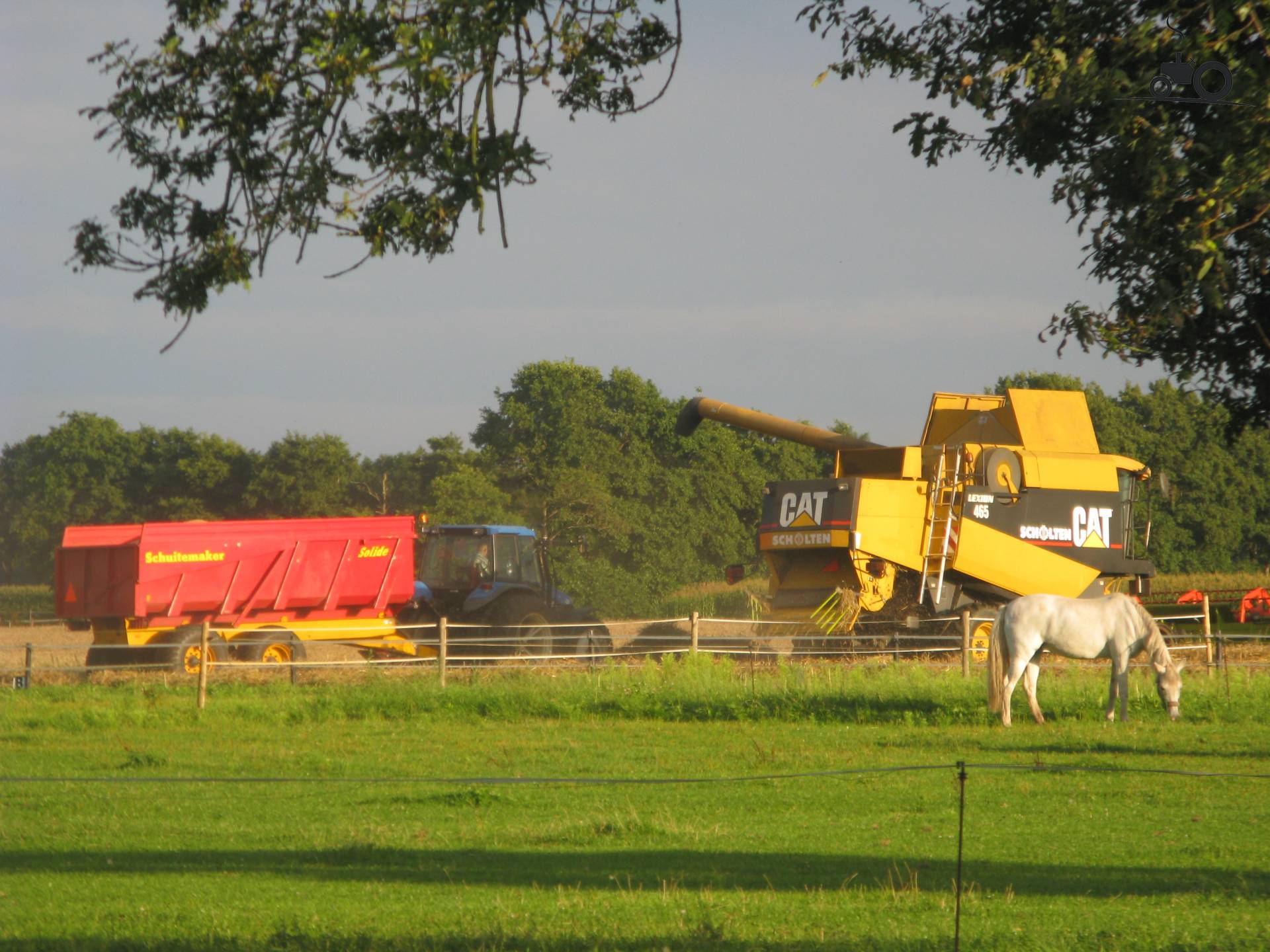 Foto Cat lexion 465 #393750