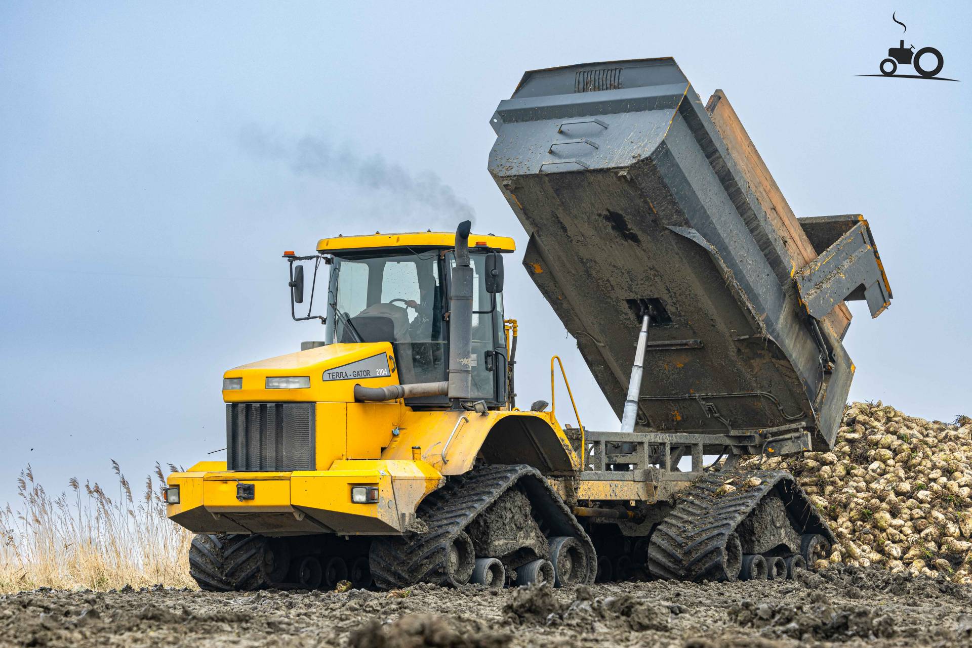 Challenger Terra Gator