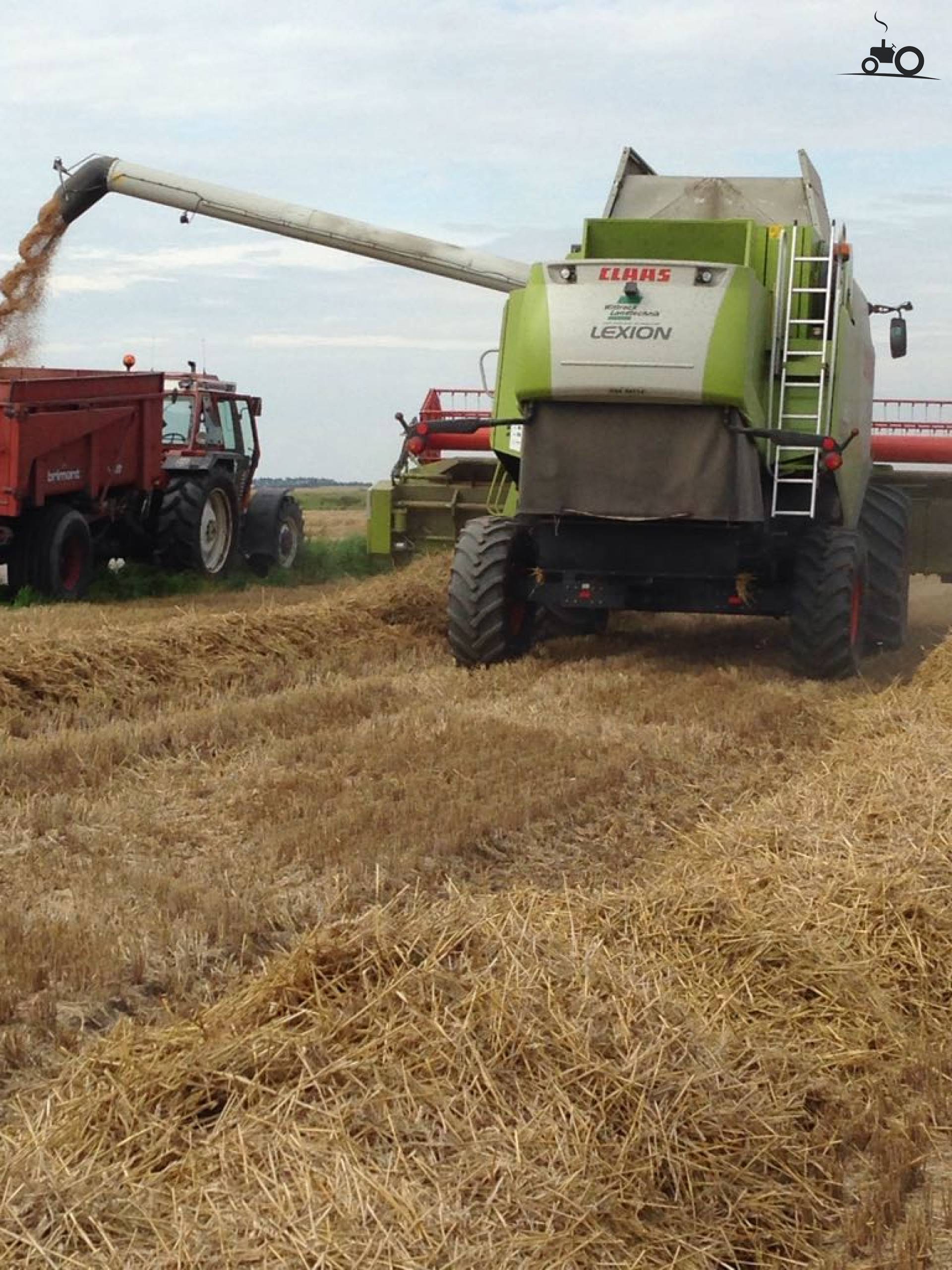 Foto Claas Lexion 650 #1182832