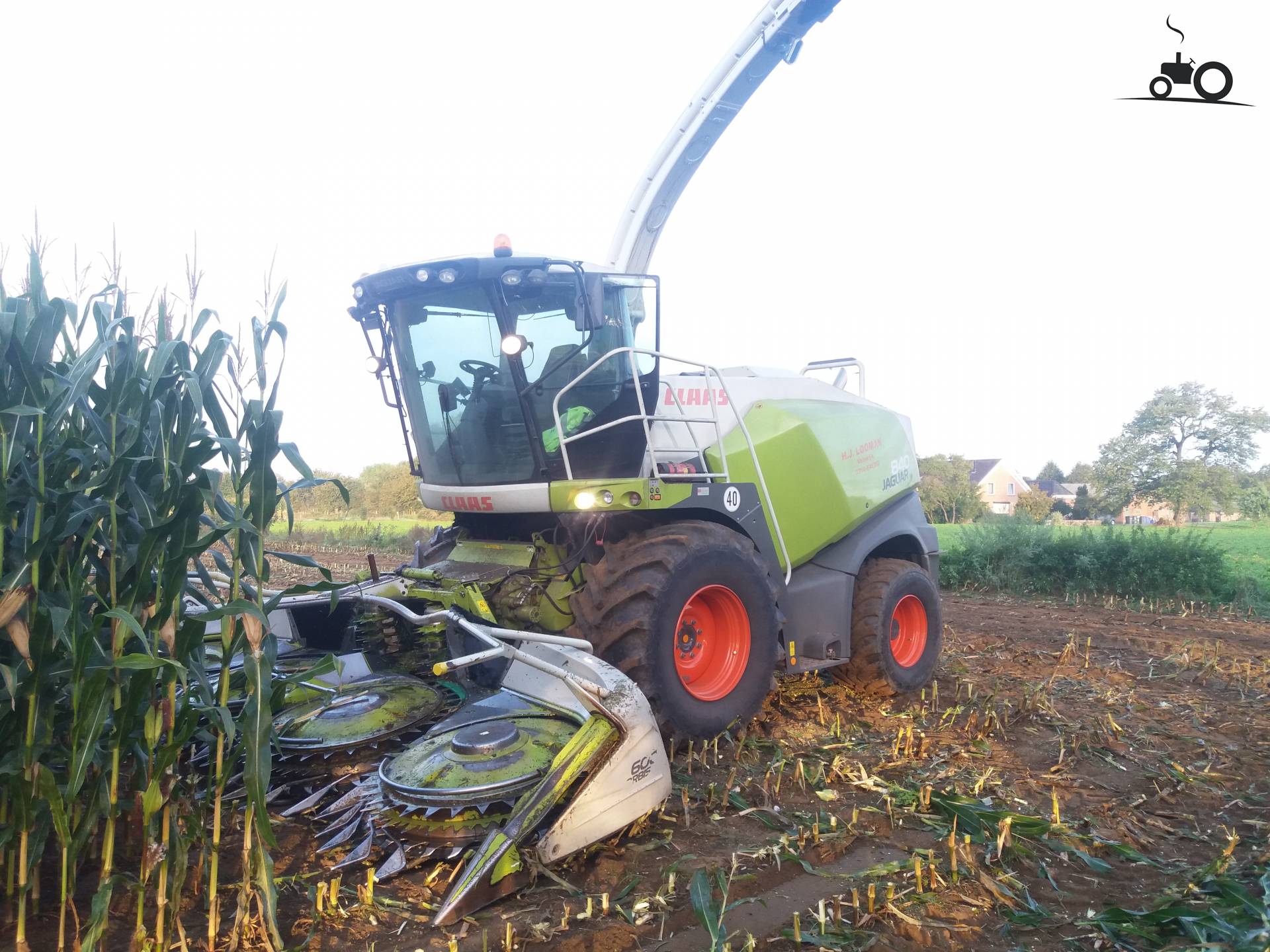 Foto Claas Jaguar 840 #1314231