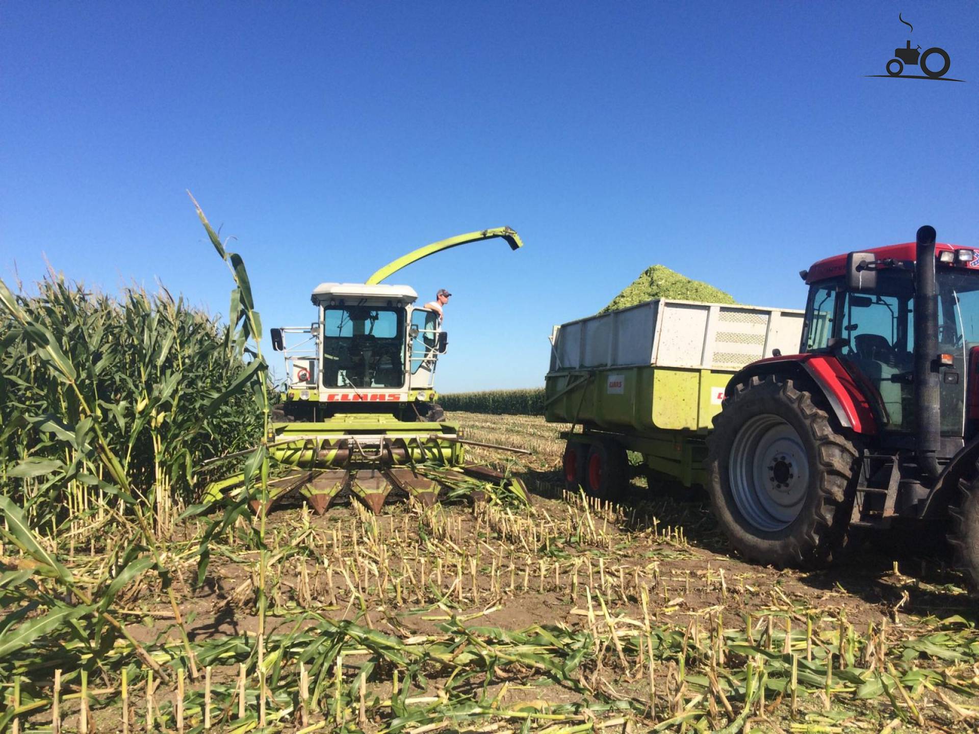 Foto Claas Jaguar 690 #1314558