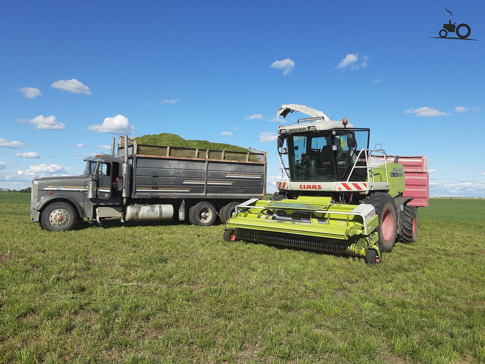 Claas Jaguar 830