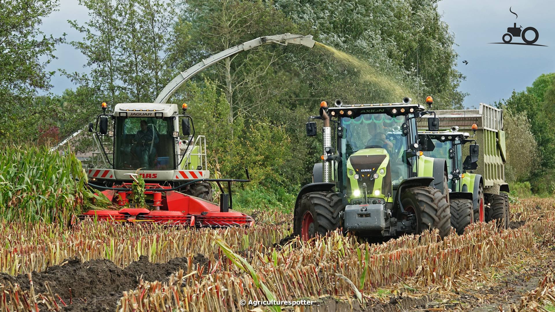 Foto Claas Jaguar 900 #1440758