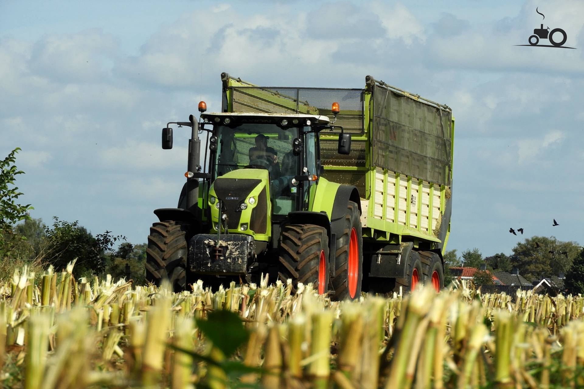 Foto Claas Axion 810 #1442897