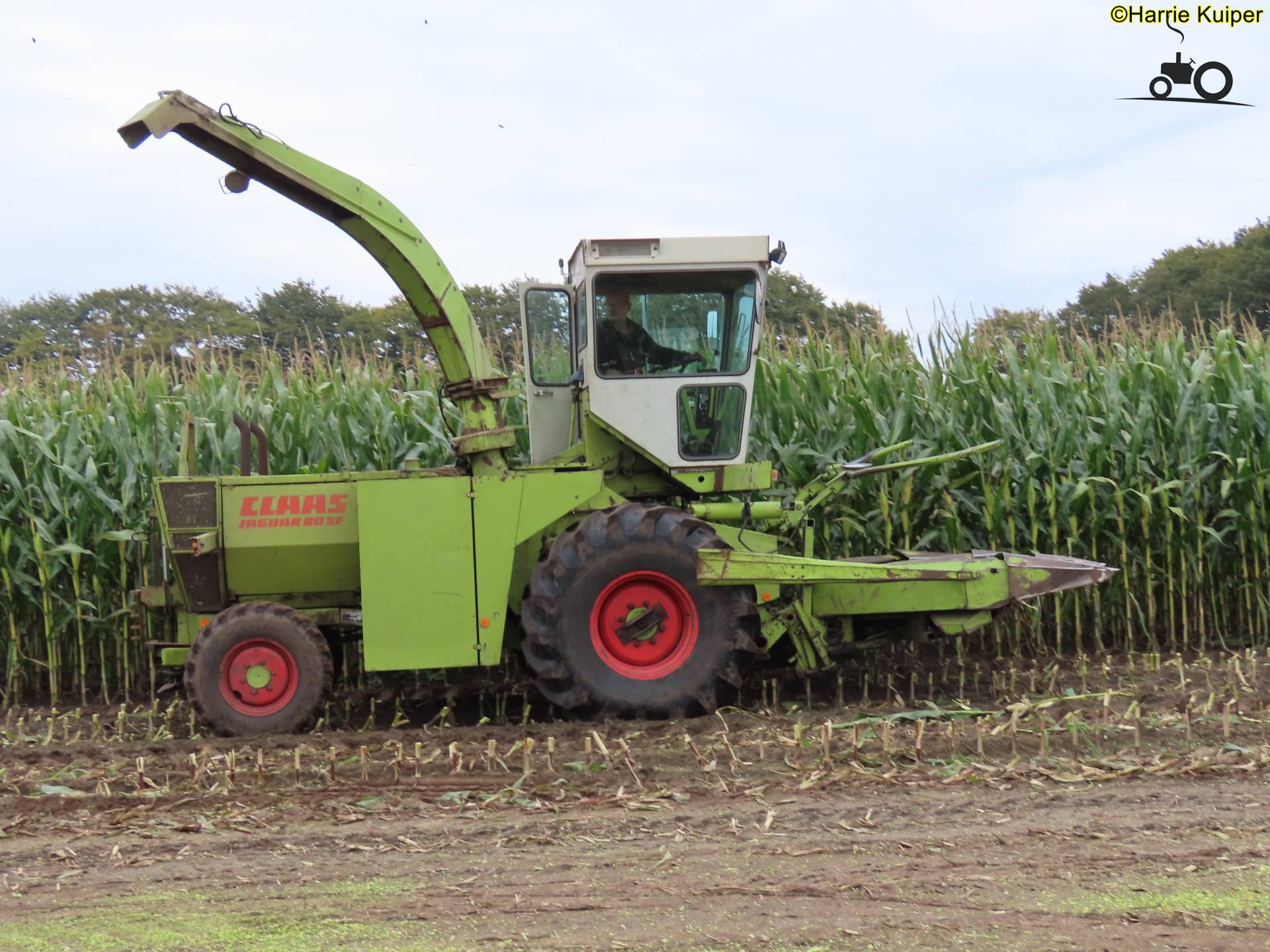 Foto Claas Jaguar 80 SF #1442937