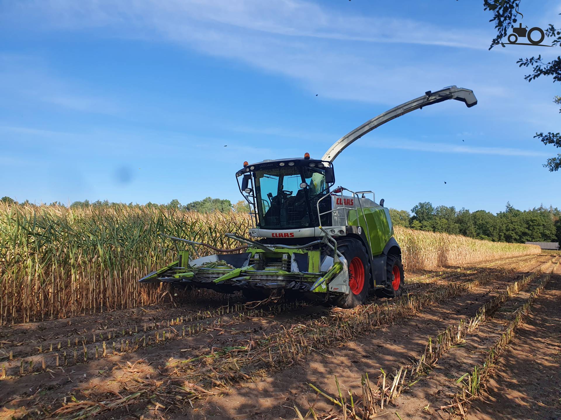 Foto Claas Jaguar 930 #1489628