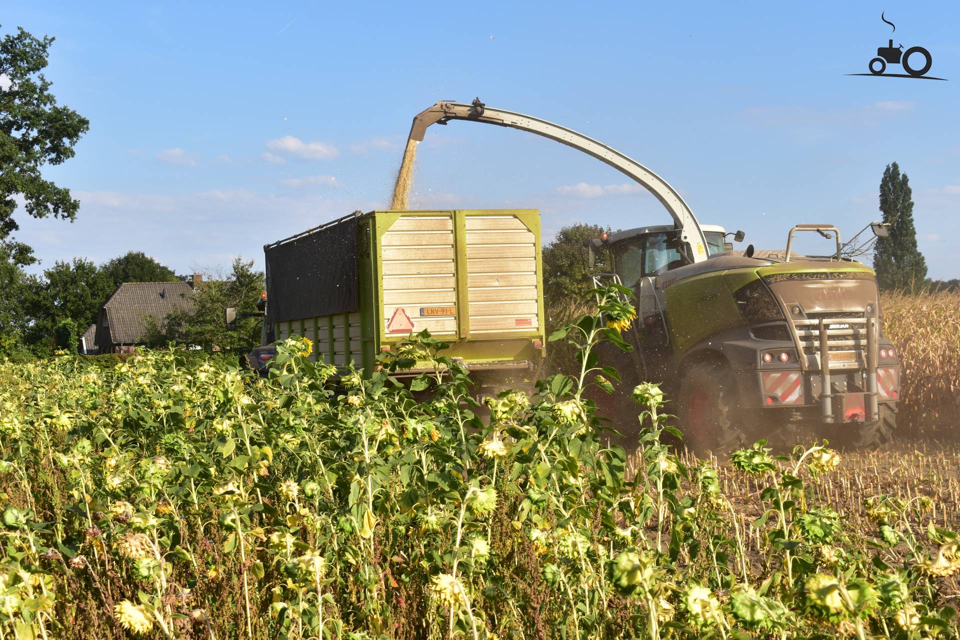 Foto Claas Jaguar 940 #1490022