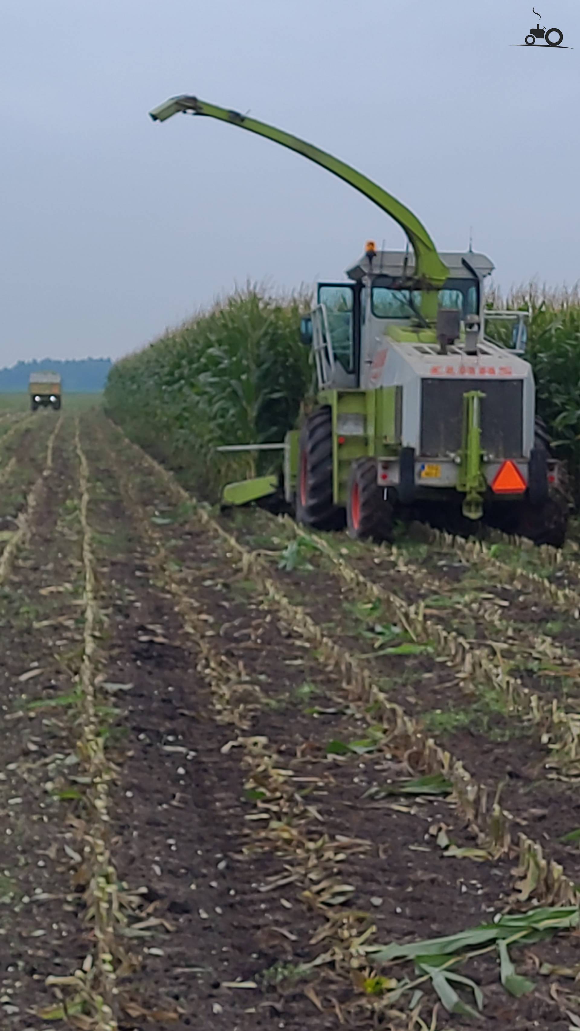 Foto Claas Jaguar 690 #1491277