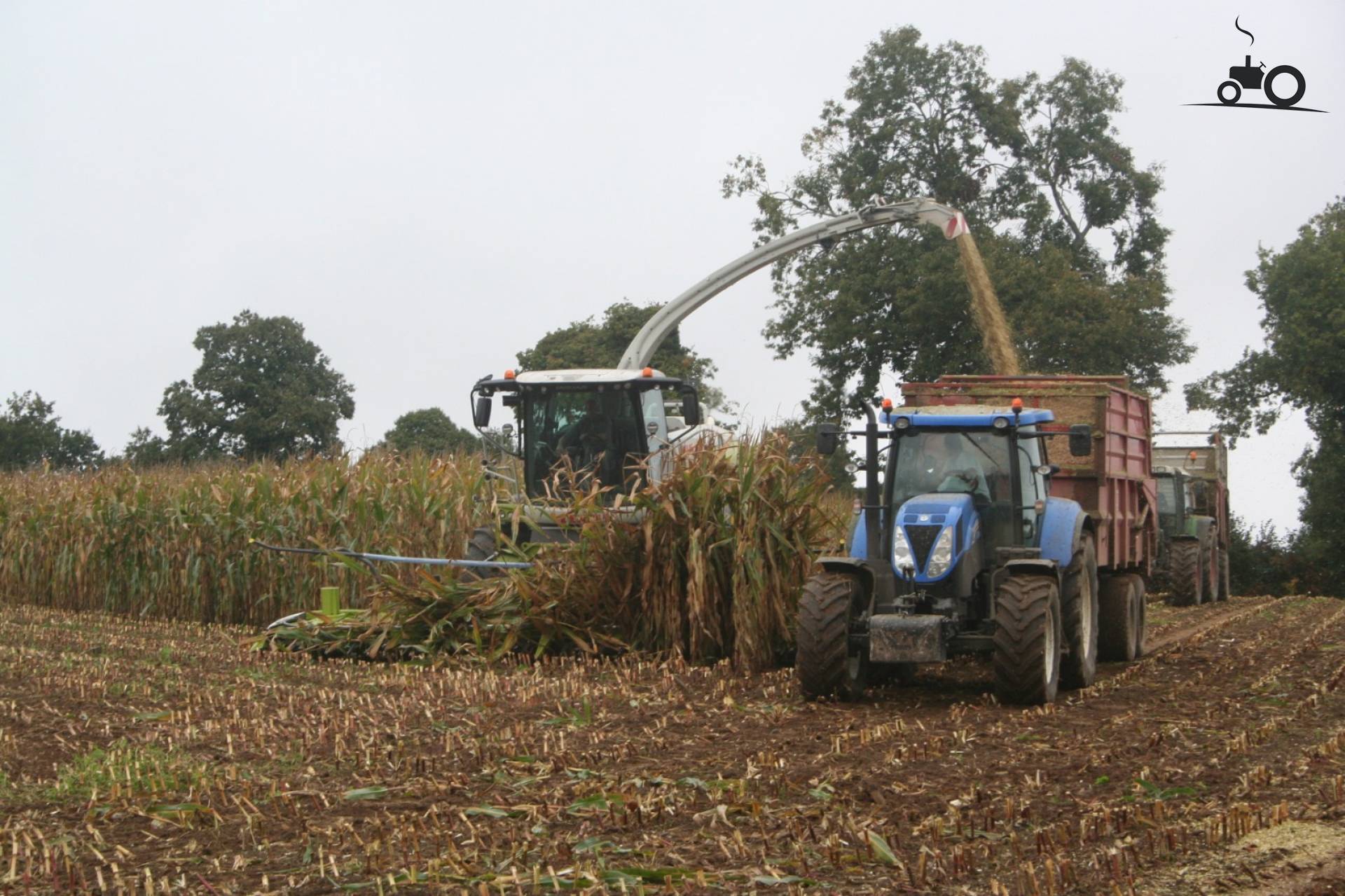 Foto Claas Jaguar 950 #1494438