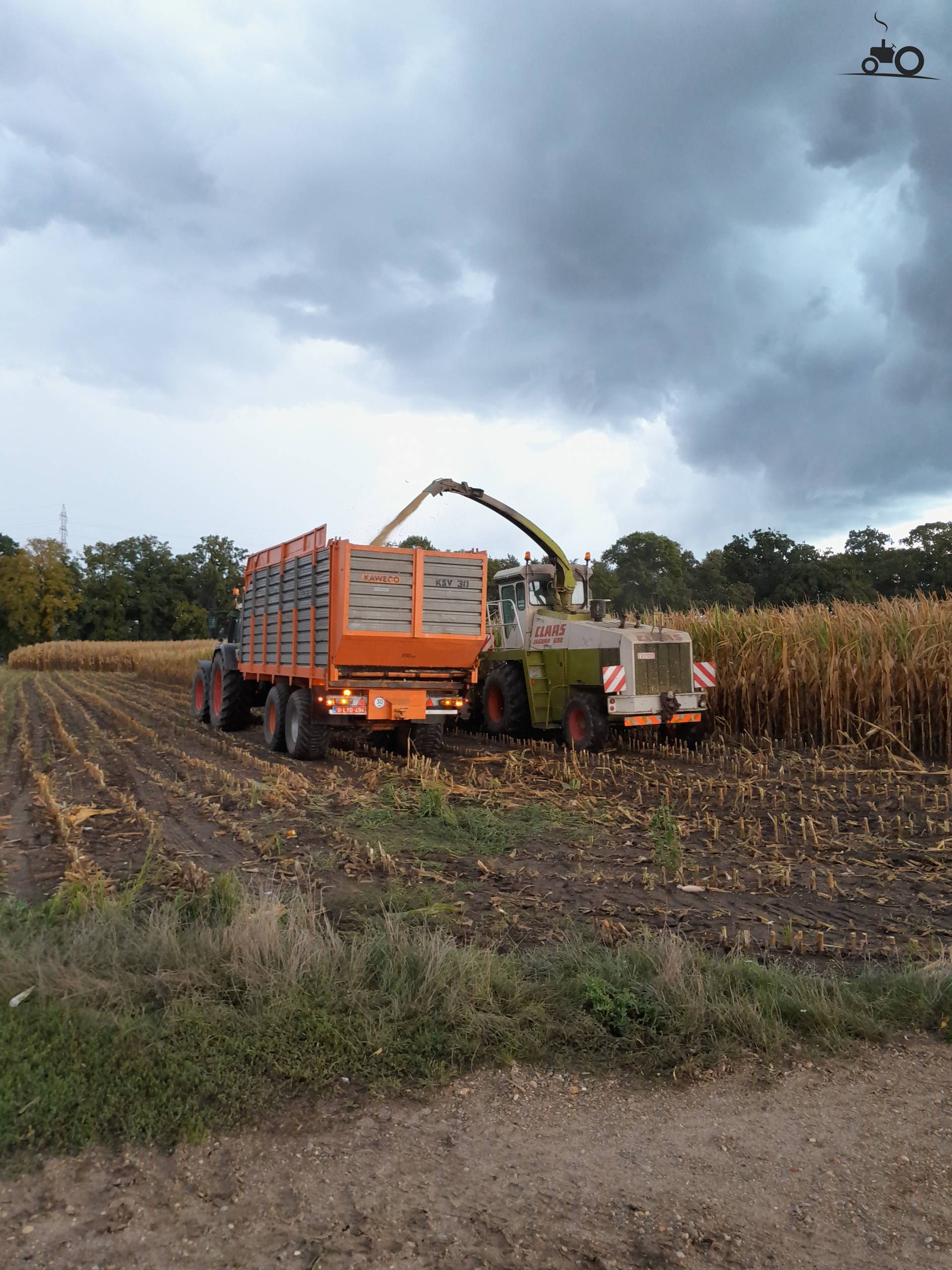 Foto Claas Jaguar 690 #1506364