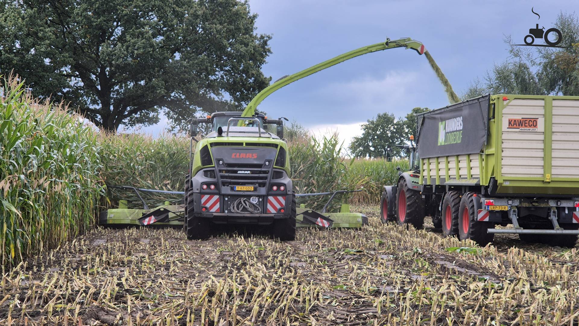 Foto Claas Jaguar 980 van Loonbedrijf Kuunders