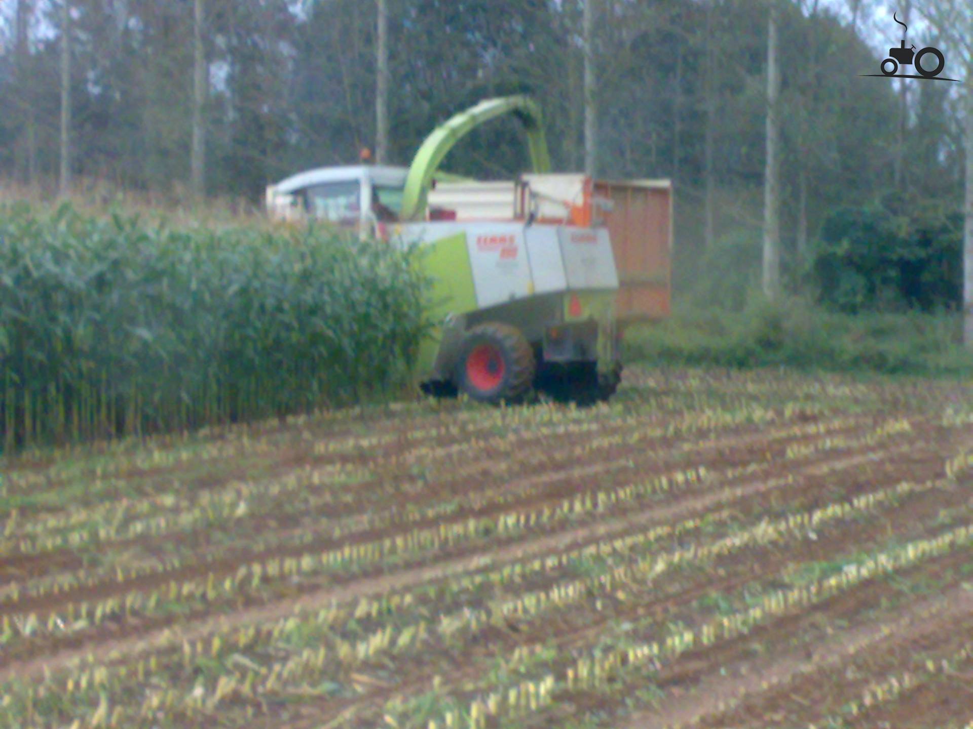 Foto Claas Jaguar 880 #273763