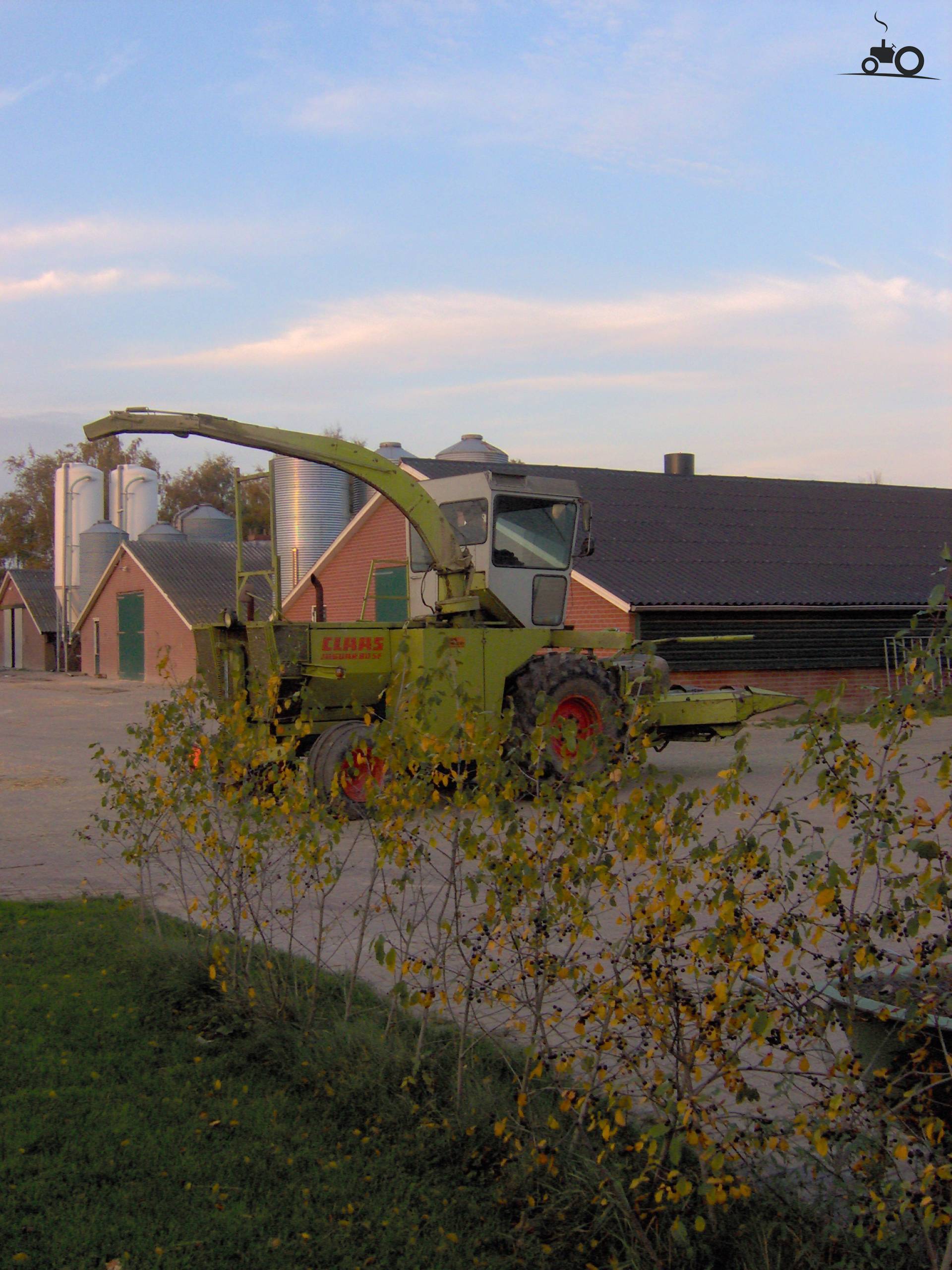 Foto Claas Jaguar 80 SF #309314