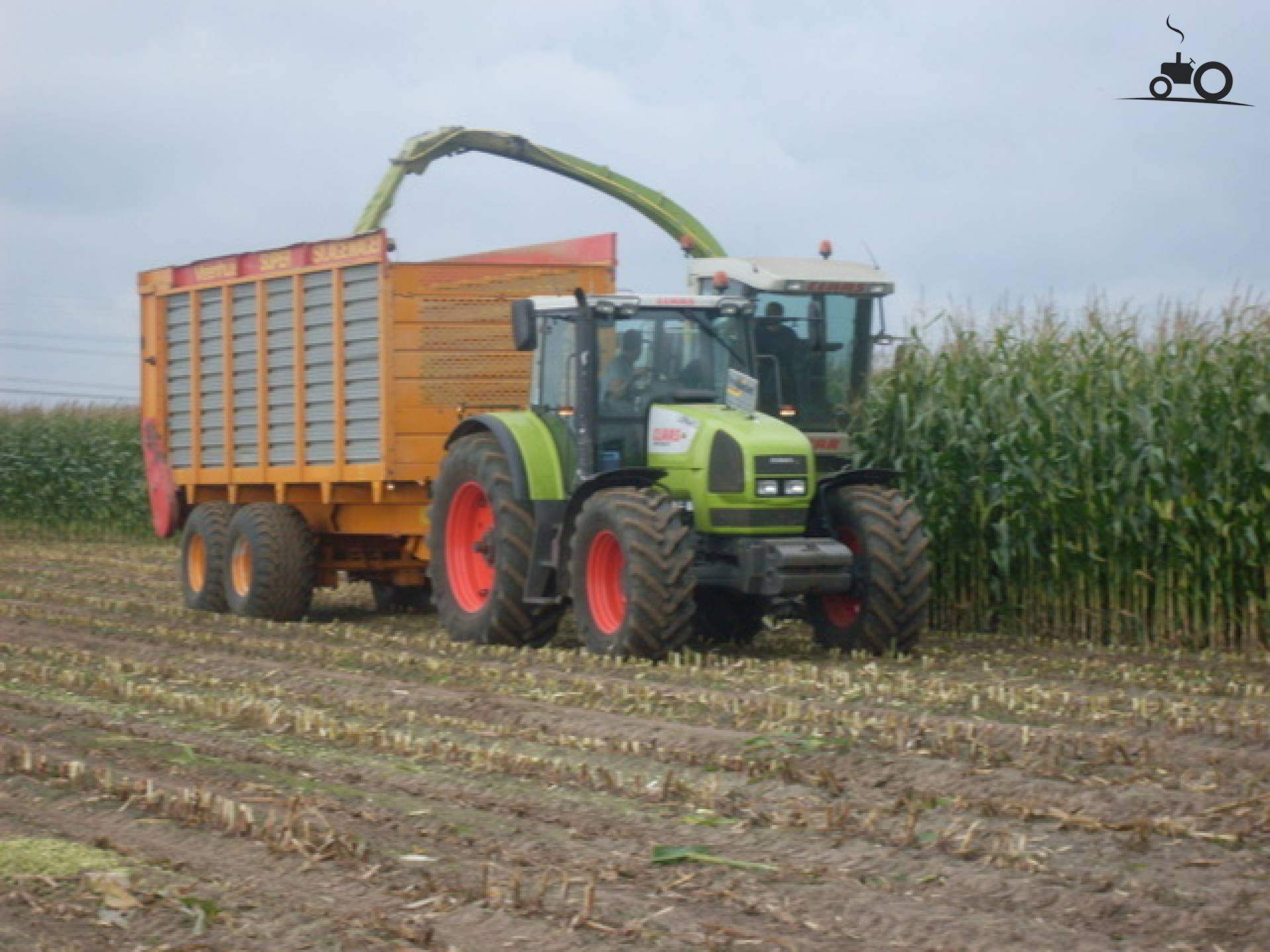 Foto Claas Ares 816 RZ #318831