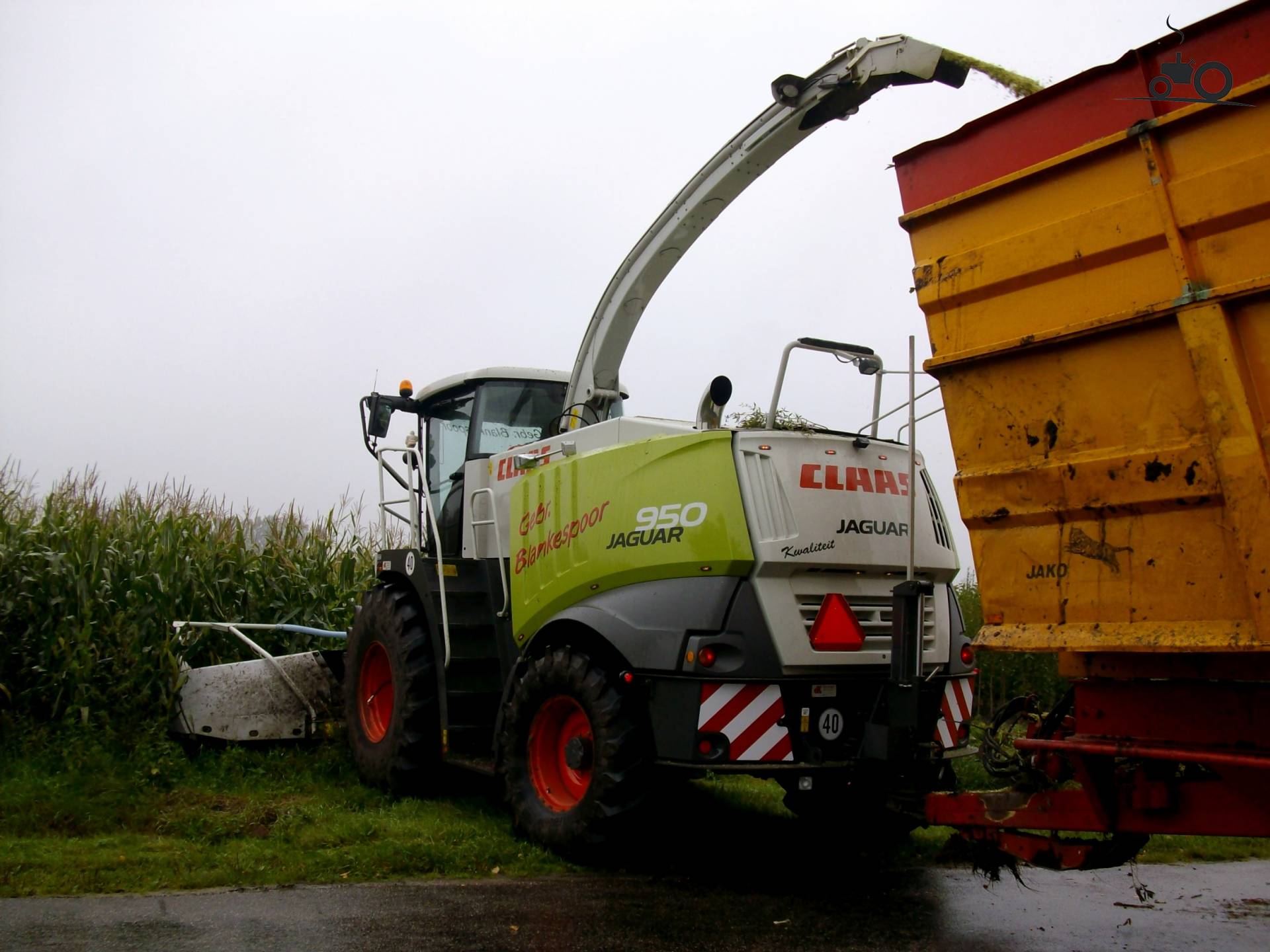 Foto Claas Jaguar 950 van Loonbedrijf & Mesthandel Gebr. Blankespoor BV