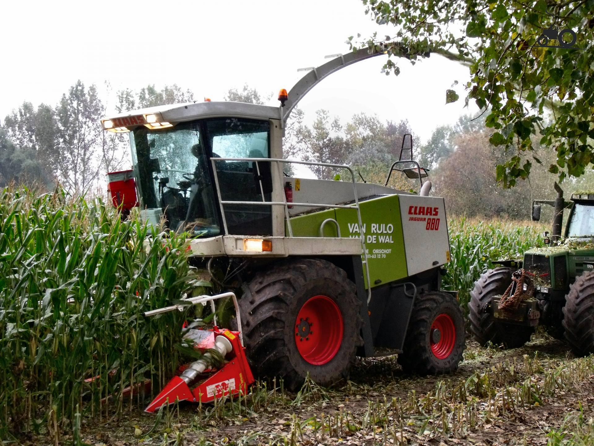 Foto Claas Jaguar 880 #412819