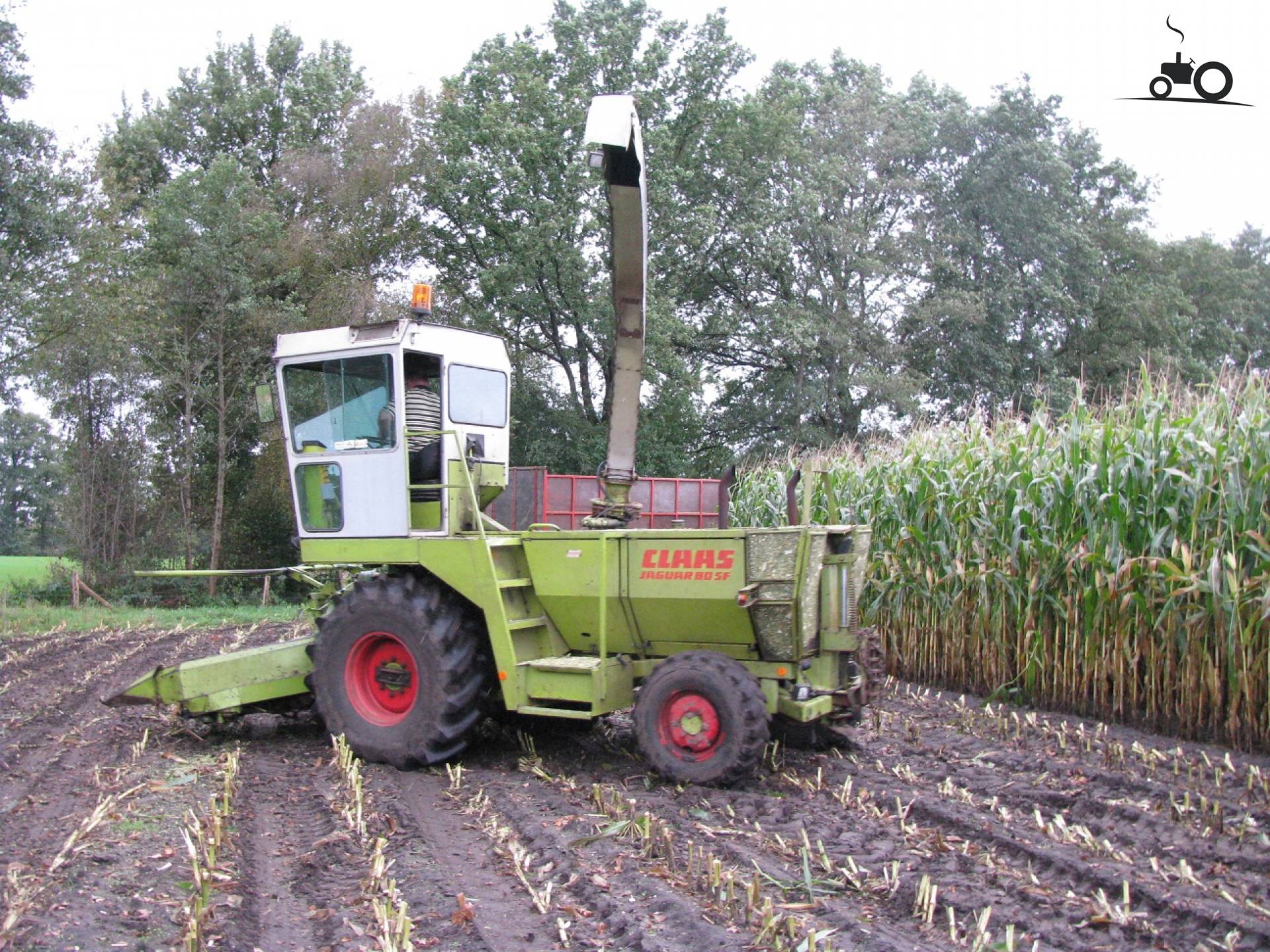 Foto Claas Jaguar 80 SF #414899