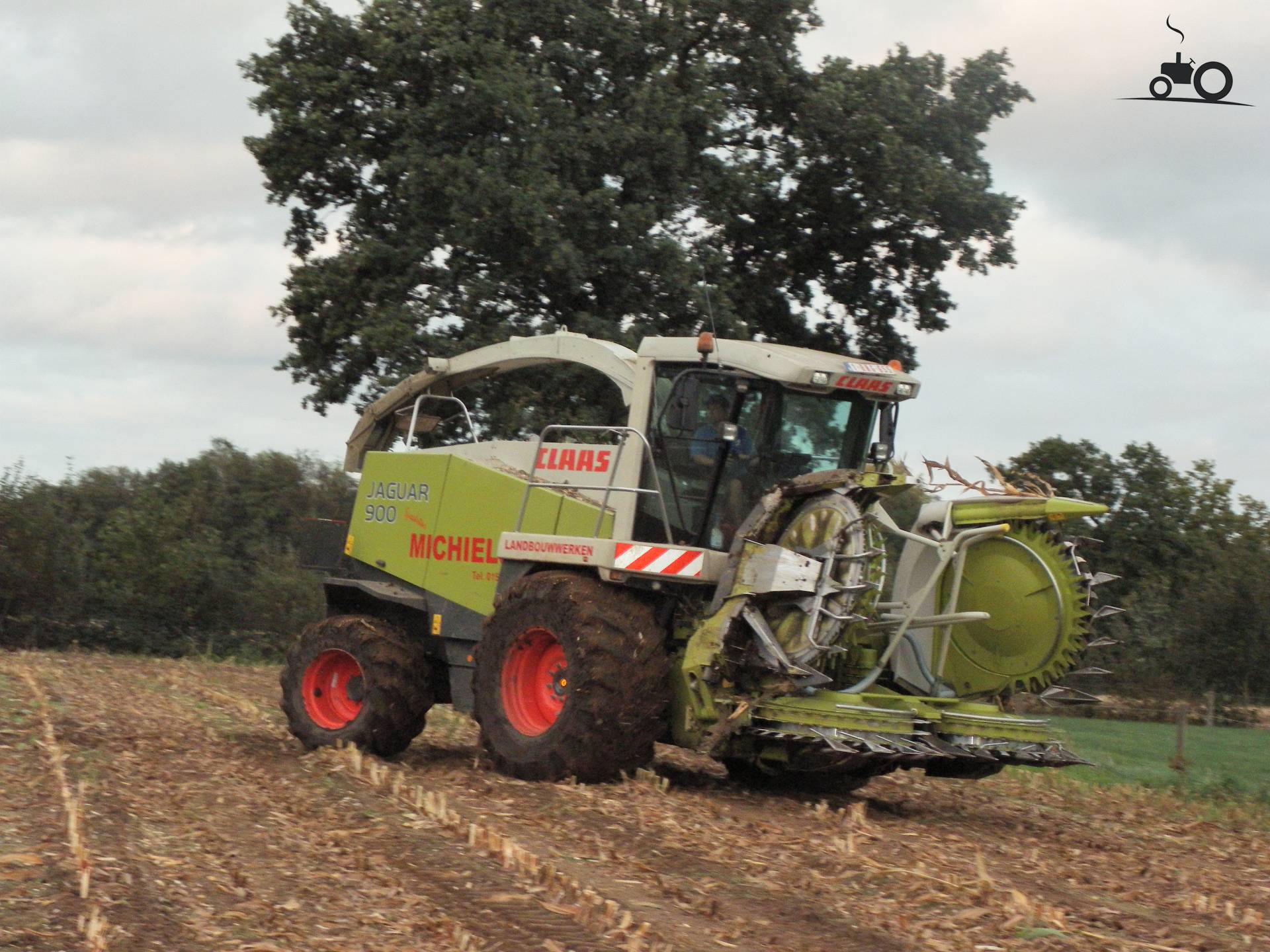 Foto Claas Jaguar 900 #550818