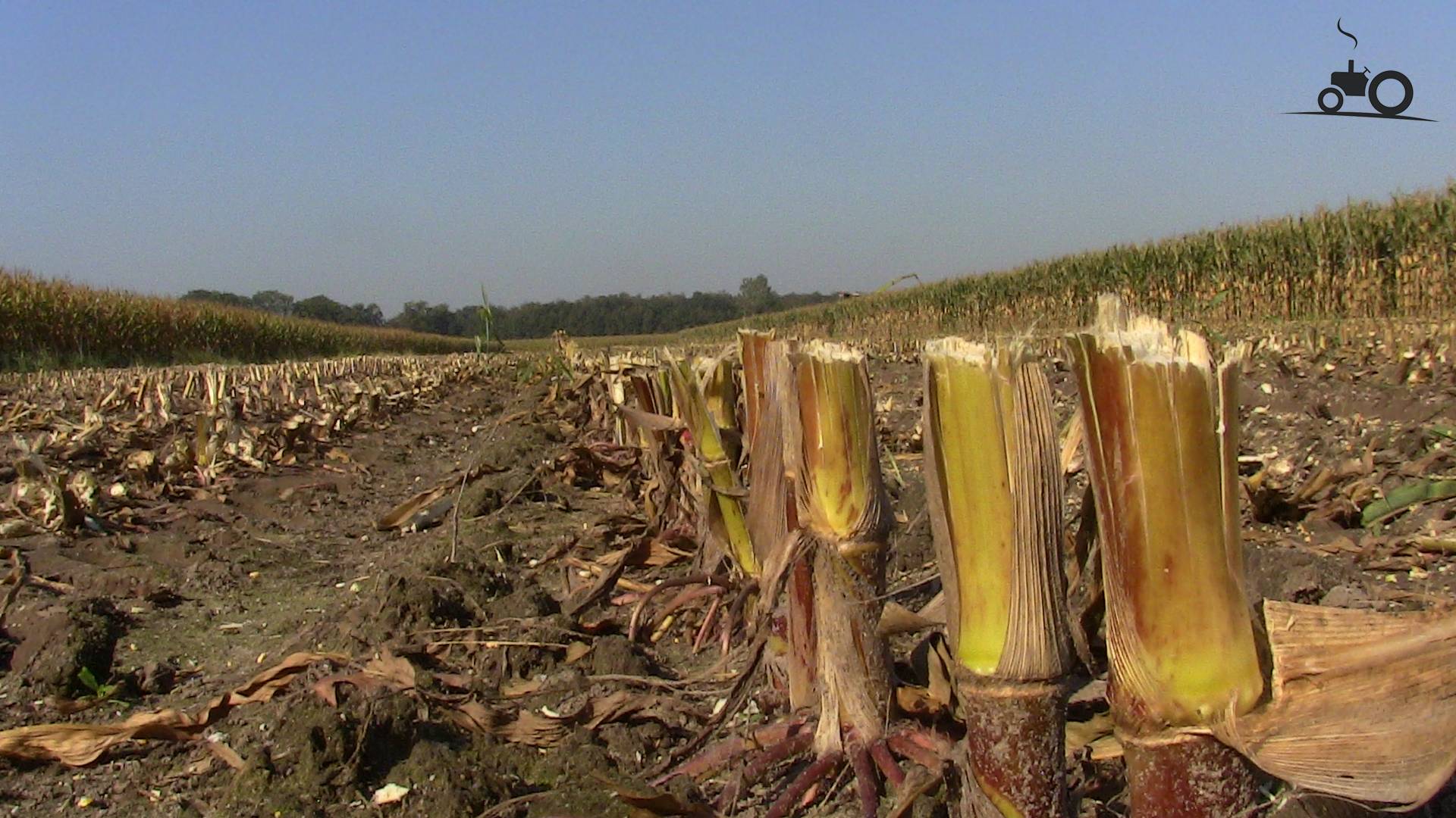 Foto Claas Jaguar 80 SF #617341