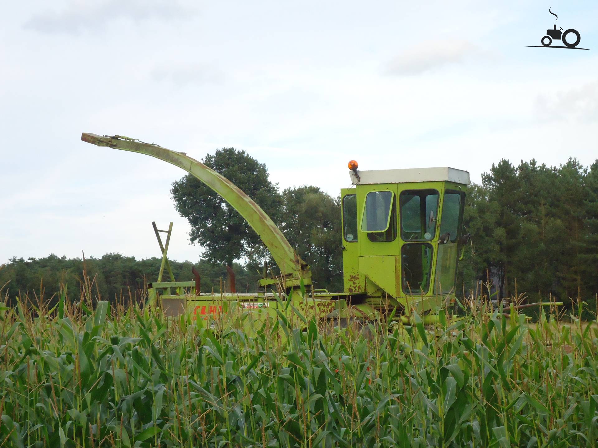 Foto Claas Jaguar 80 SF #684517