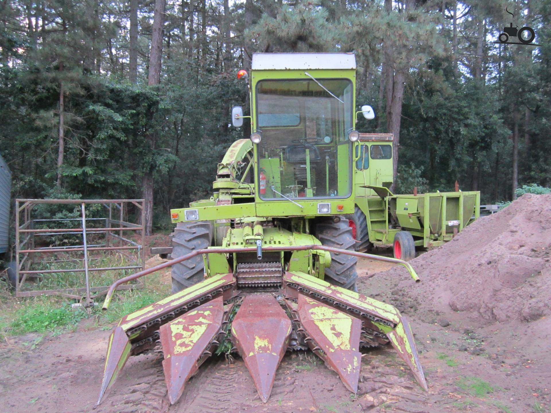 Foto Claas Jaguar 80 SF #685808