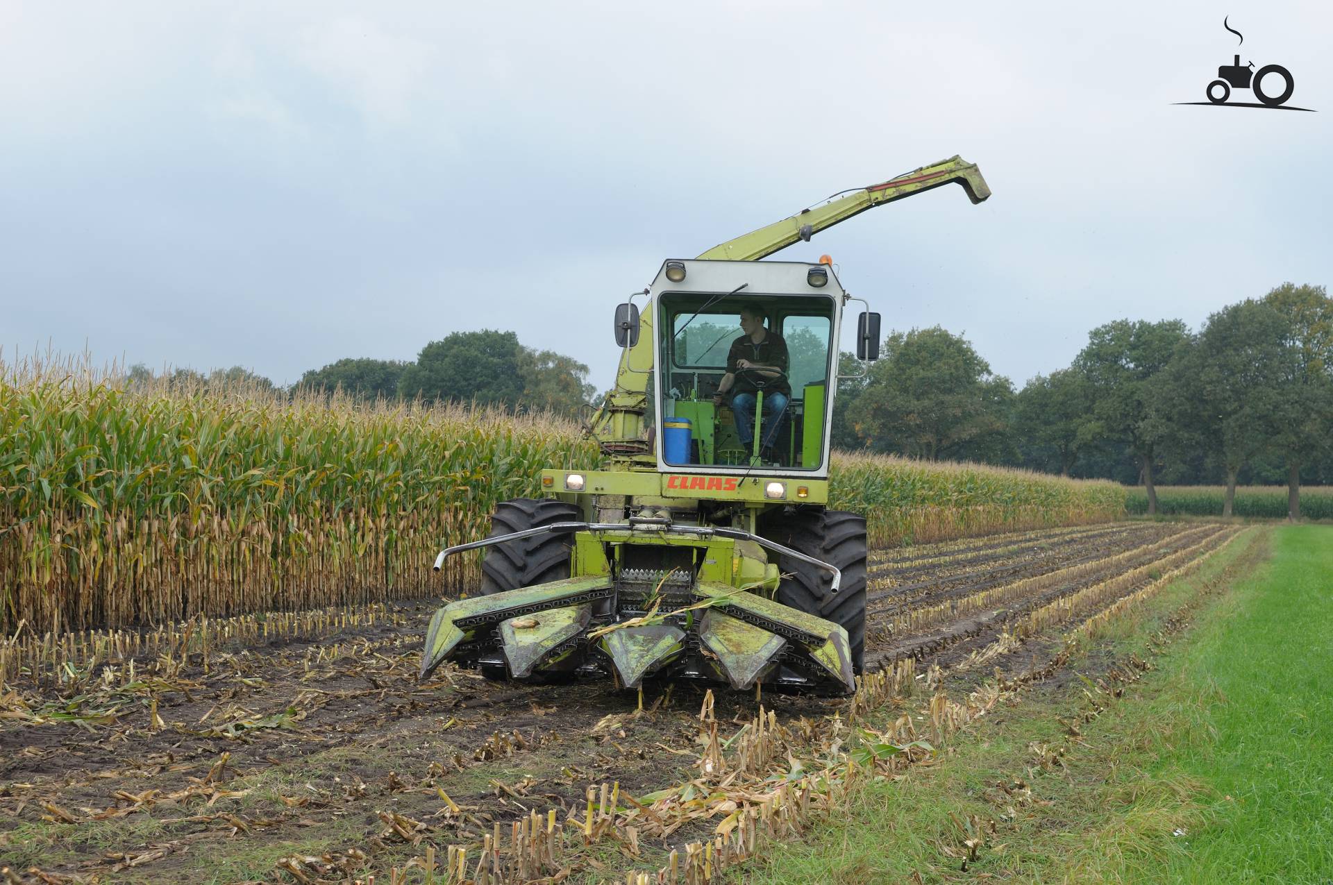 Foto Claas Jaguar 80 SF #738666