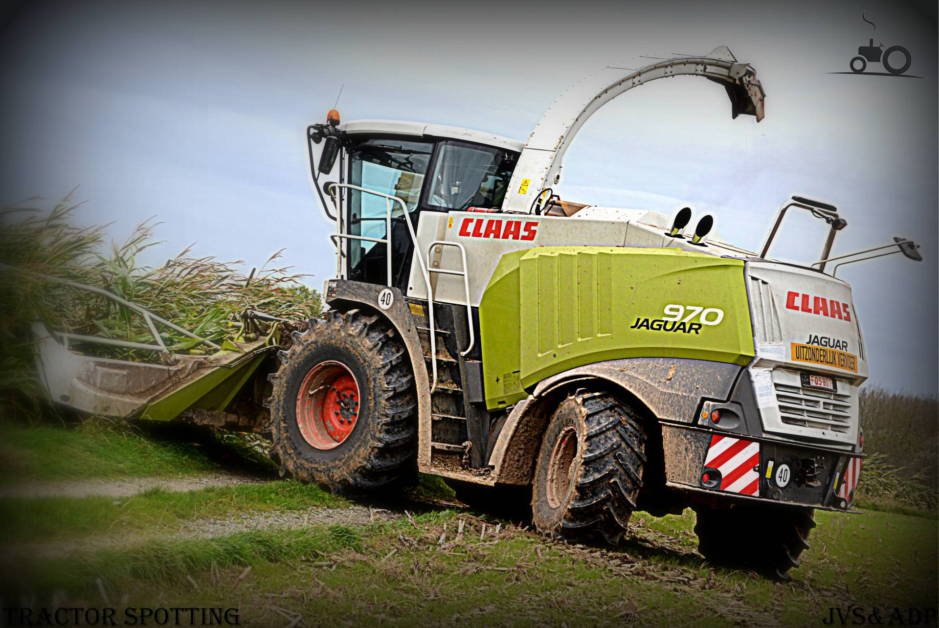Claas Jaguar 970 - United Kingdom - Tractor picture #806937