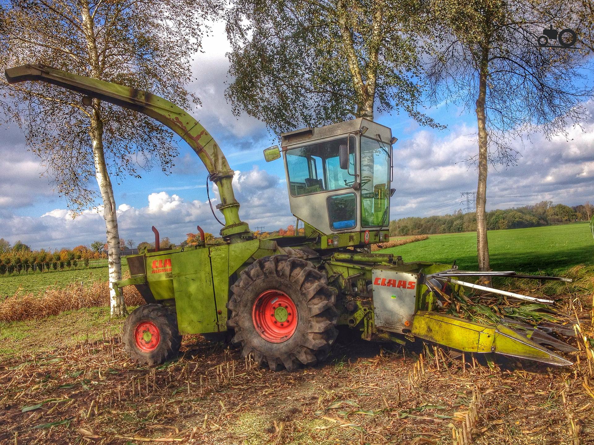 Foto Claas Jaguar 80 SF #879091