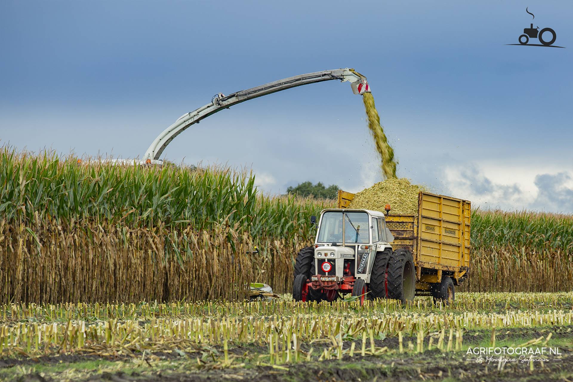David Brown bij het Spektakel