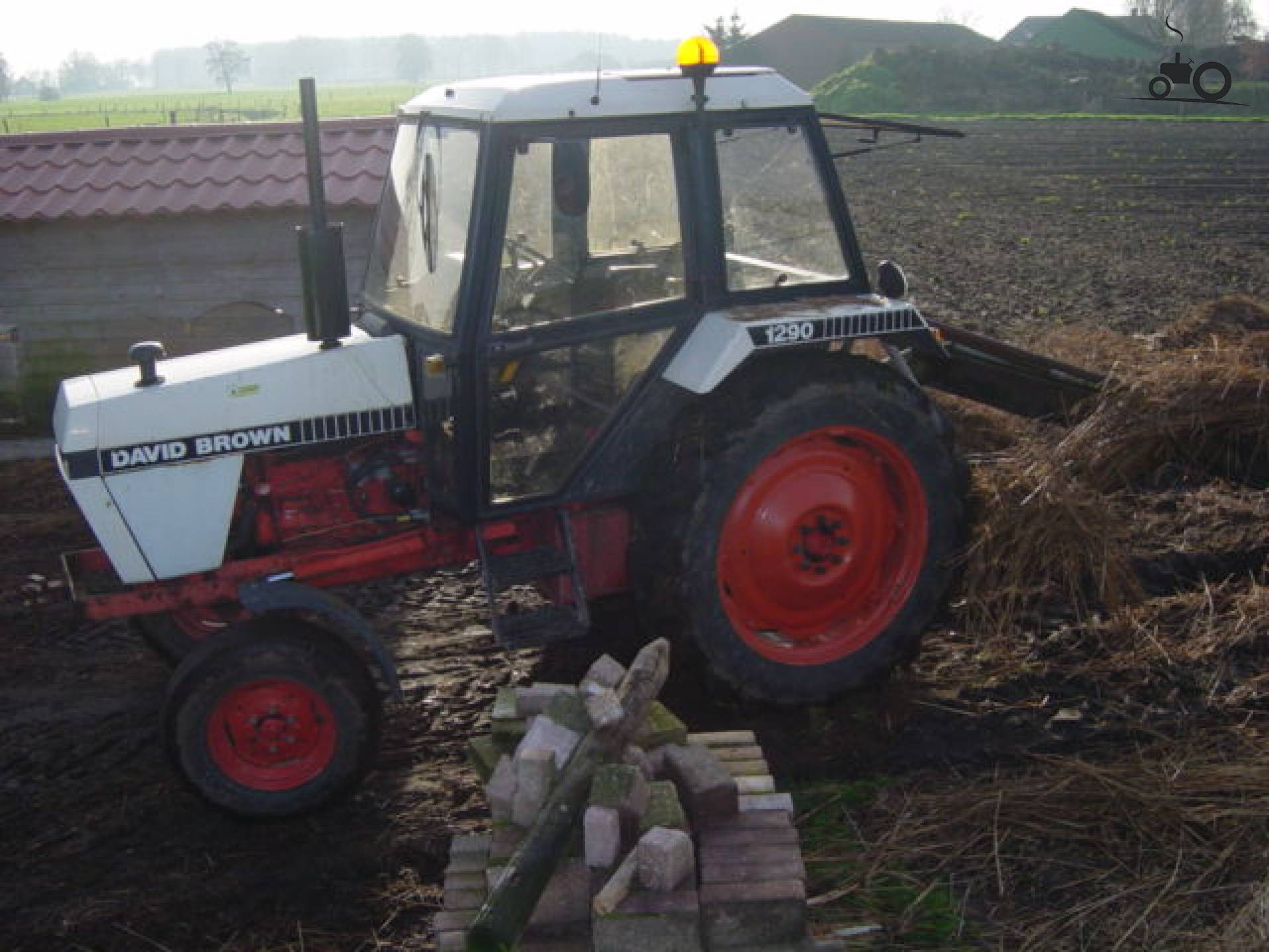 Foto David Brown 1290 #28864