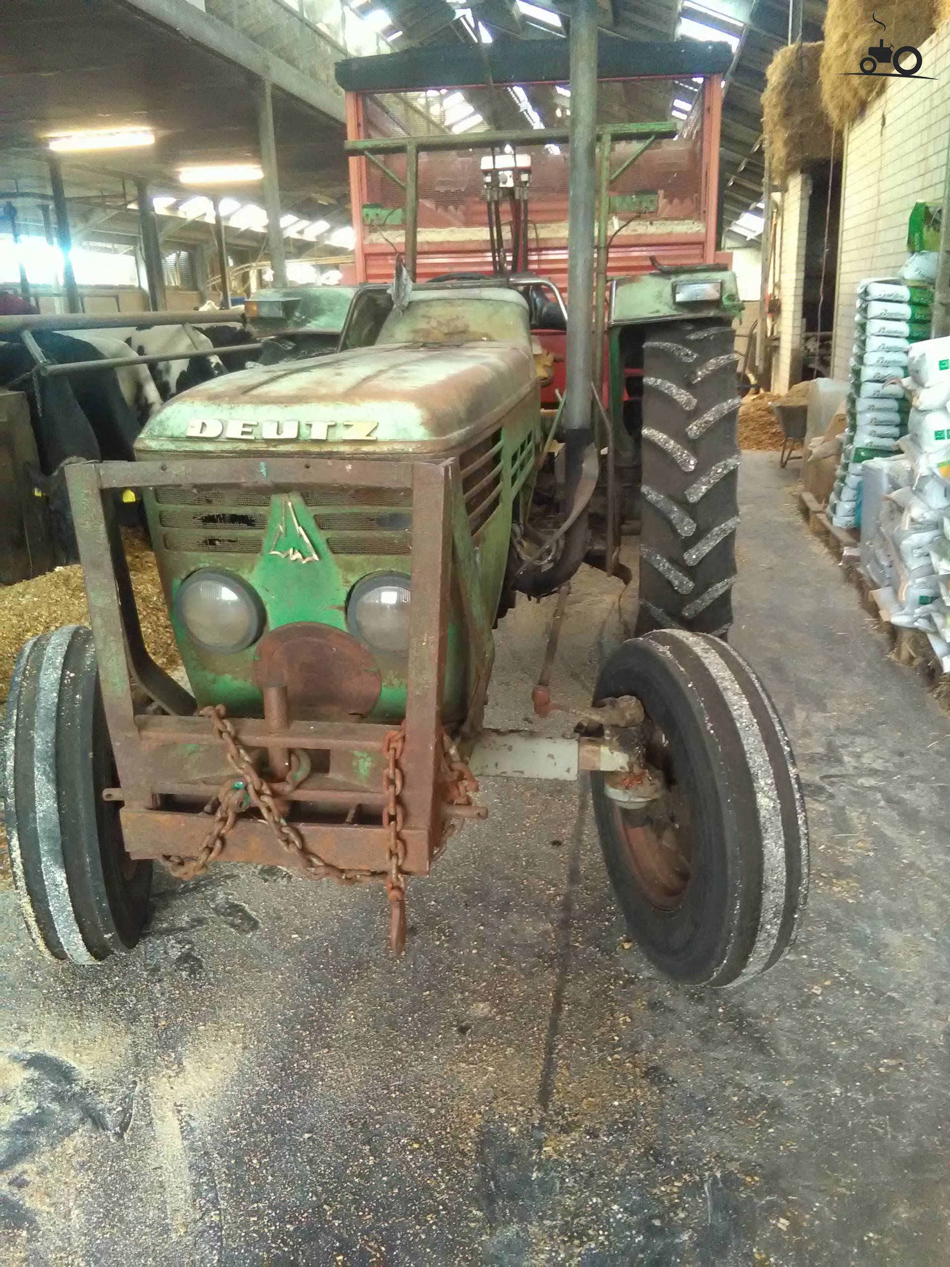 Foto Deutz D5506 #1294553