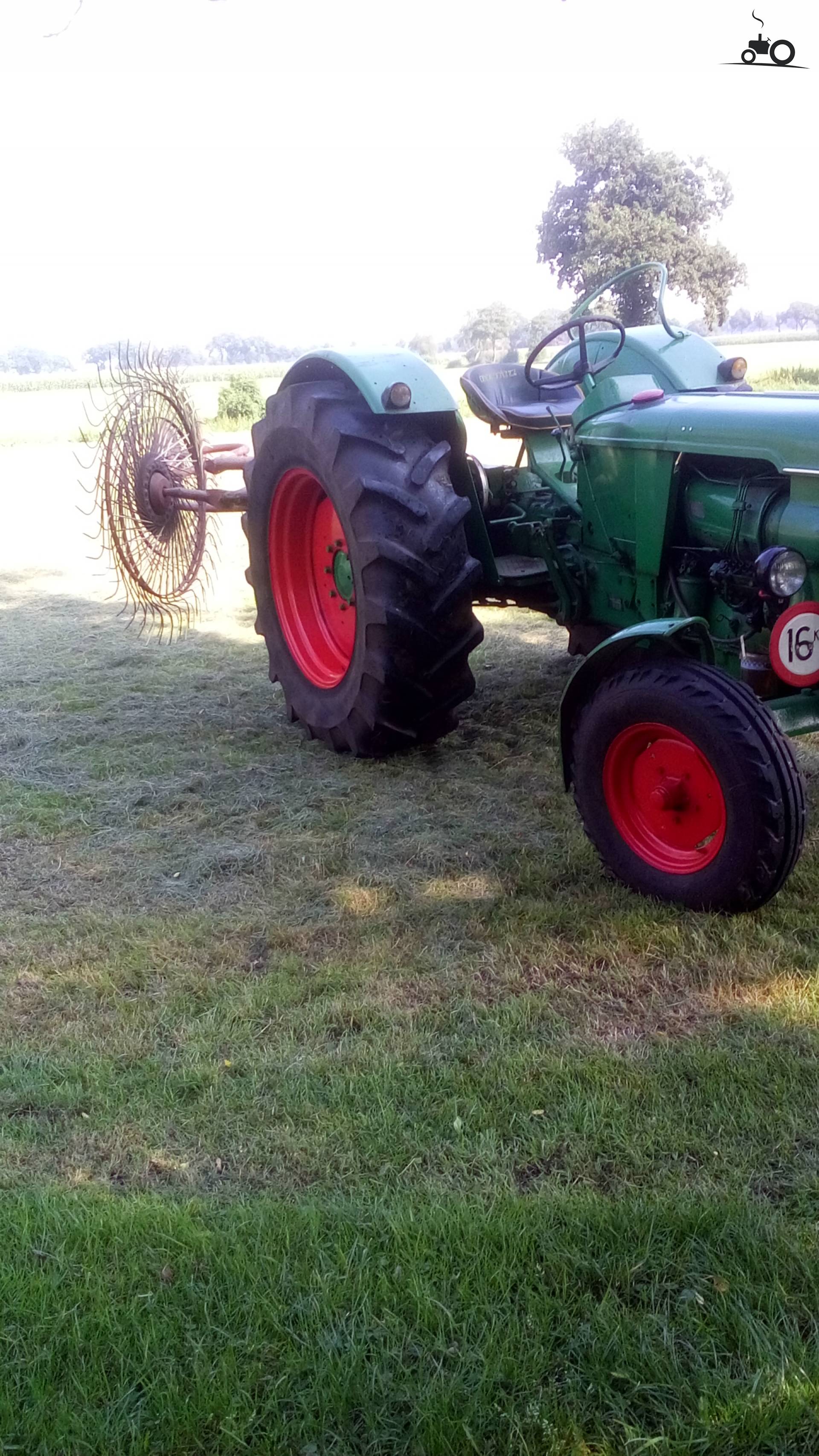Deutz D55 - United Kingdom - Tractor picture #955042