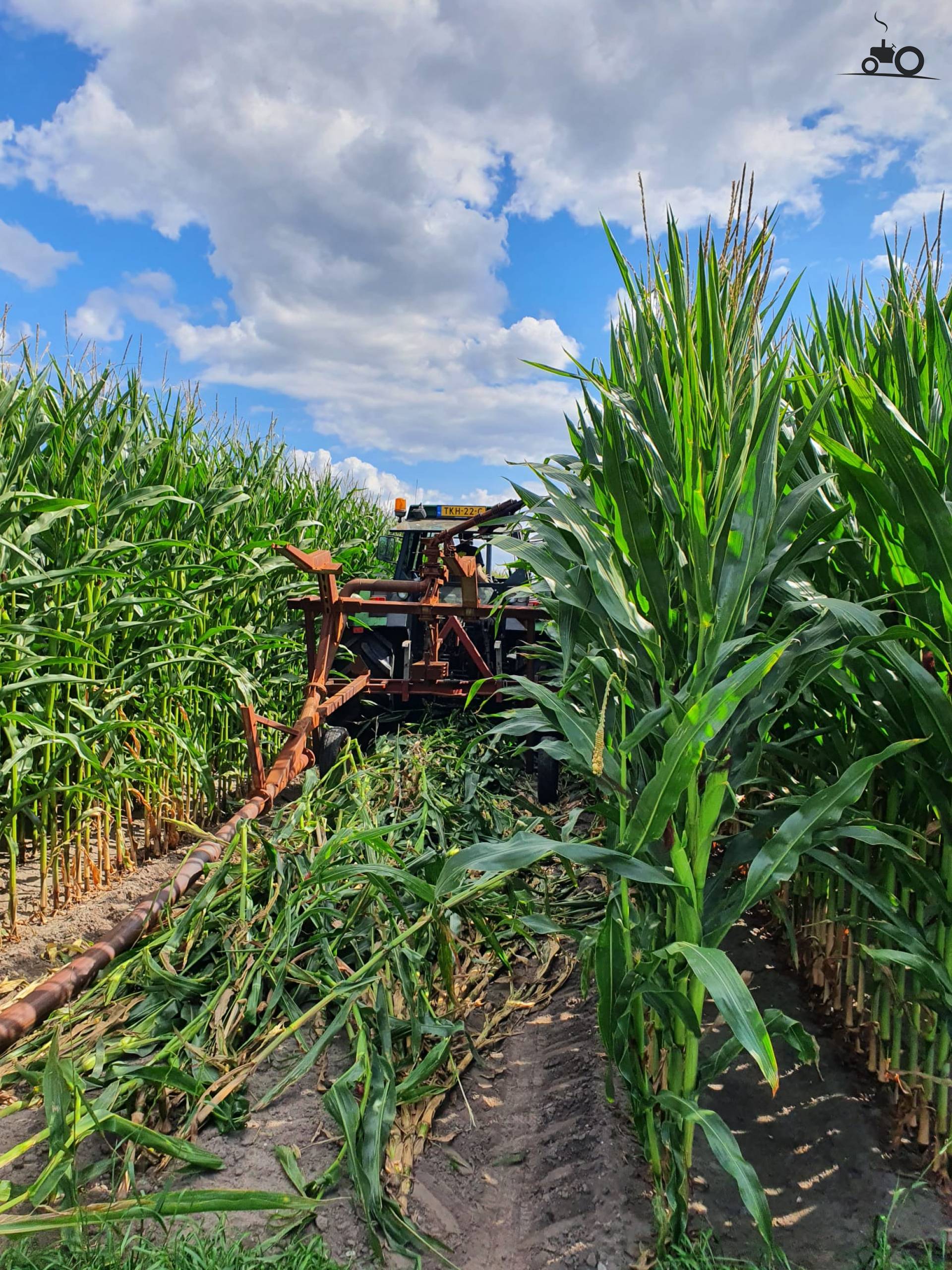 Foto Deutz-Fahr DX 6.30 #1484794