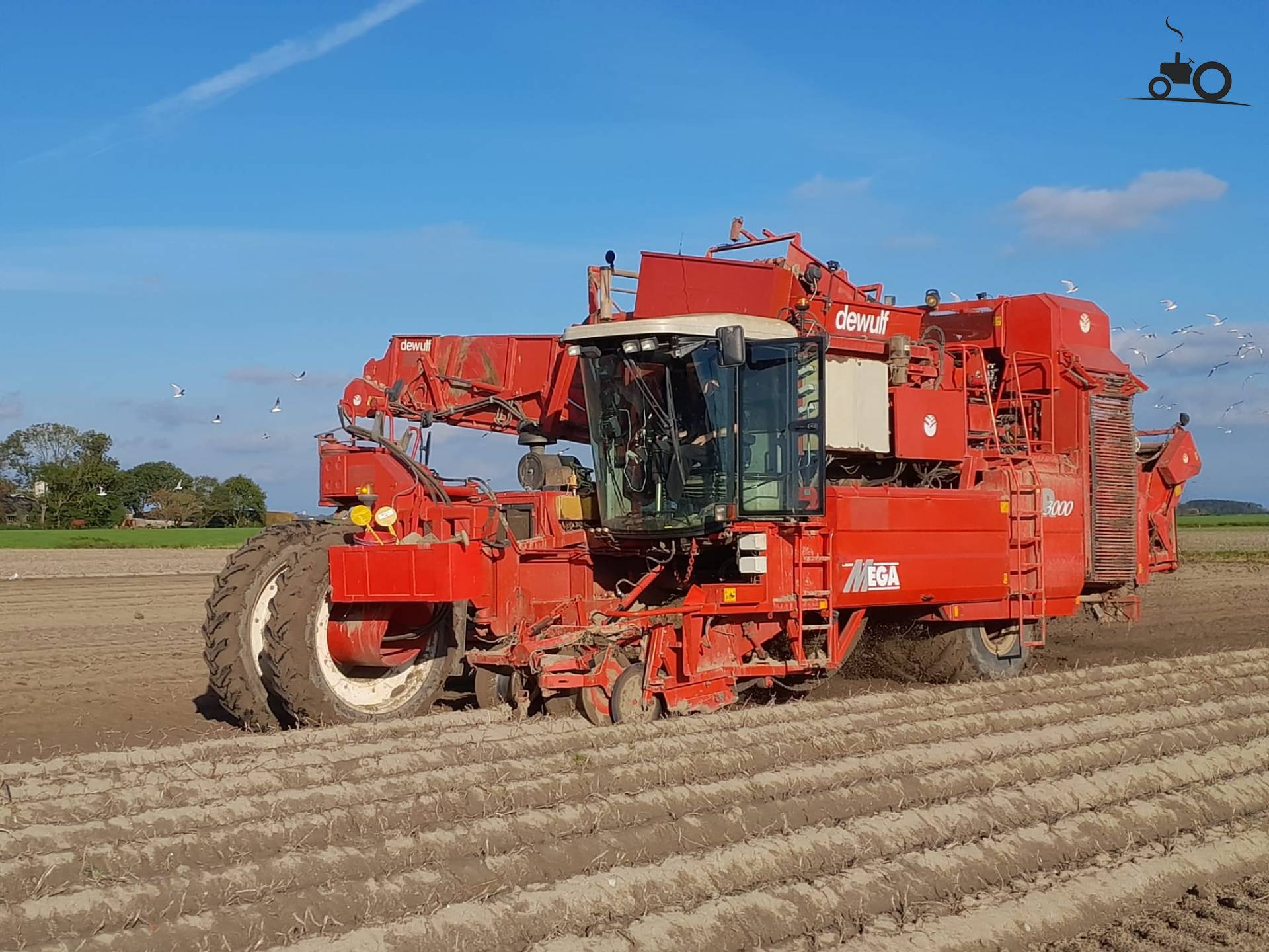 Foto Dewulf R3000 Mega #1440190