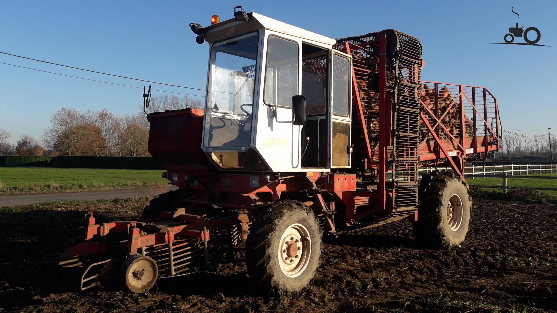 Foto Dewulf Bietenlader #1501601