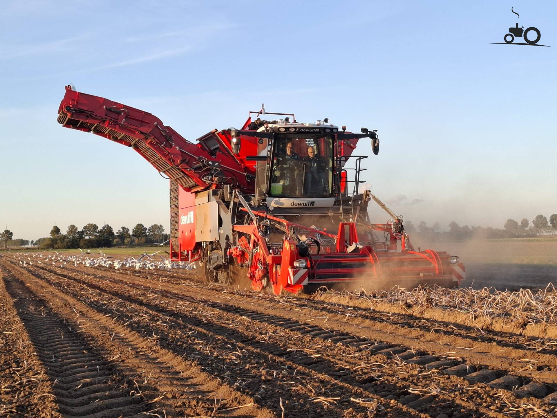 Foto Dewulf Kwatro #1635195