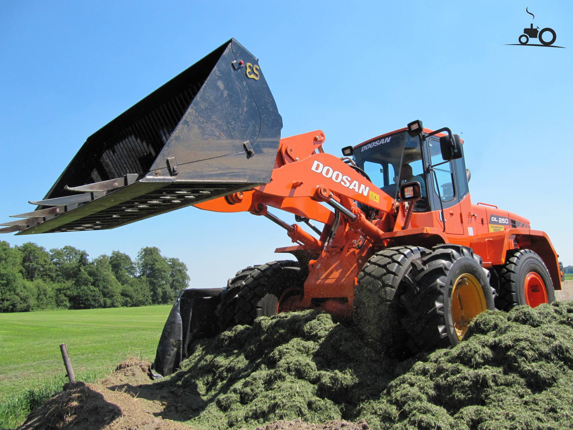 Foto Doosan DL 250 #380342