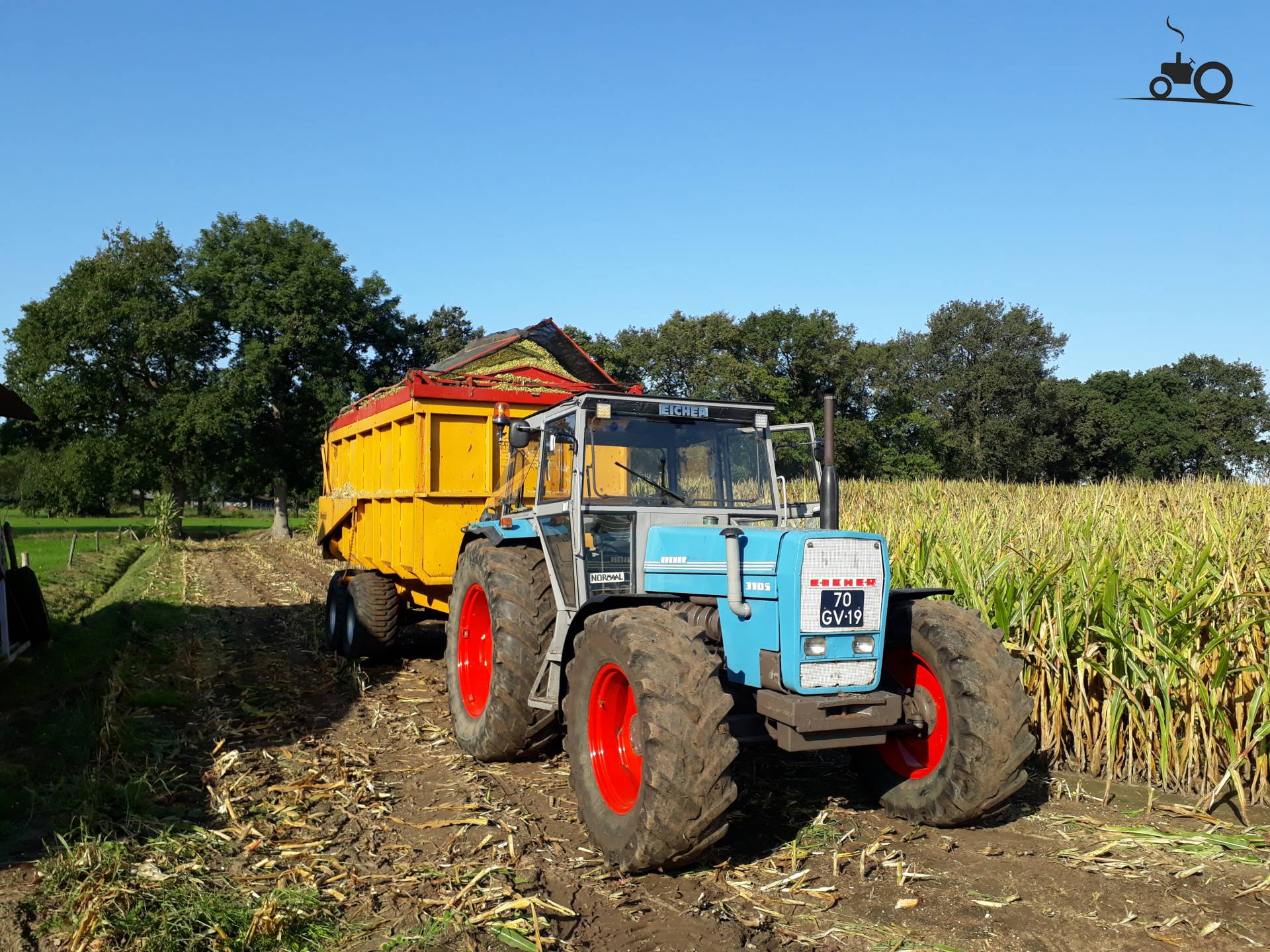 Eicher 3105 Fanclub - Specificaties, Foto's, Reviews & Forum