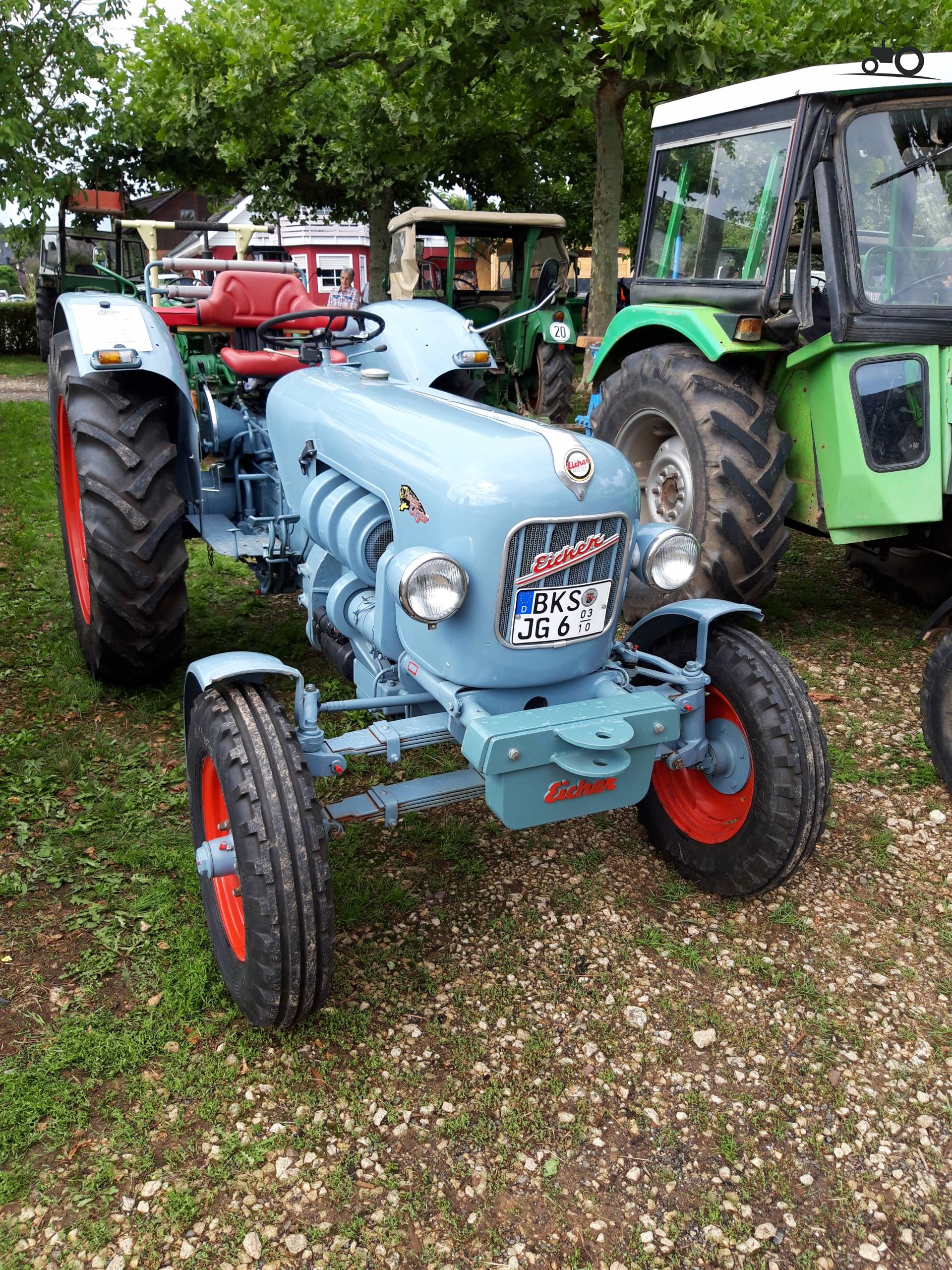 Eicher KÃ¶nigstiger