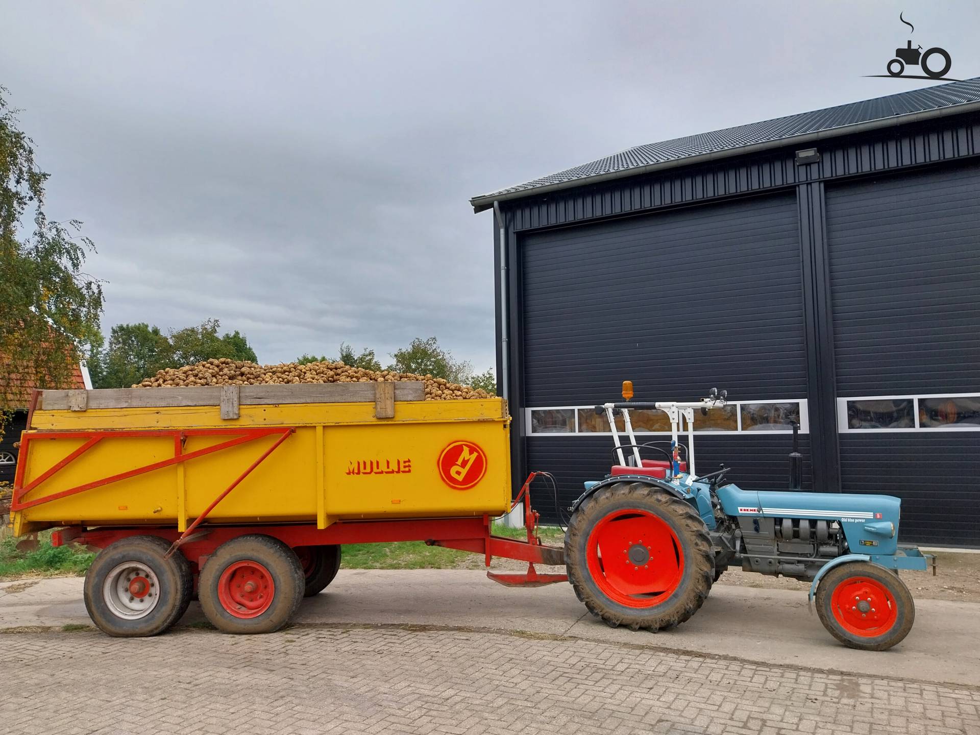 Eicher - Afbeeldingen