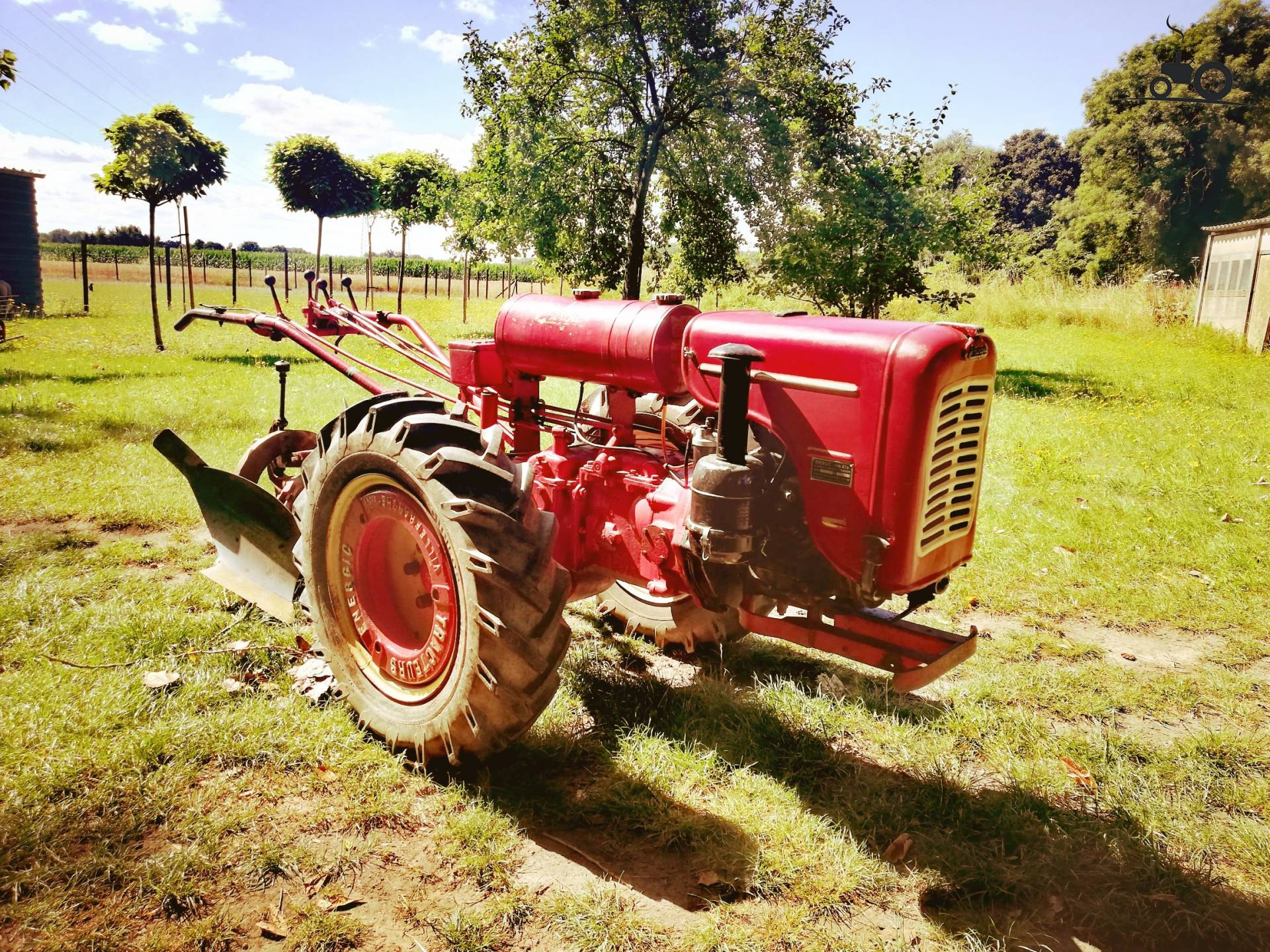 Foto Energic Onbekend #1361515