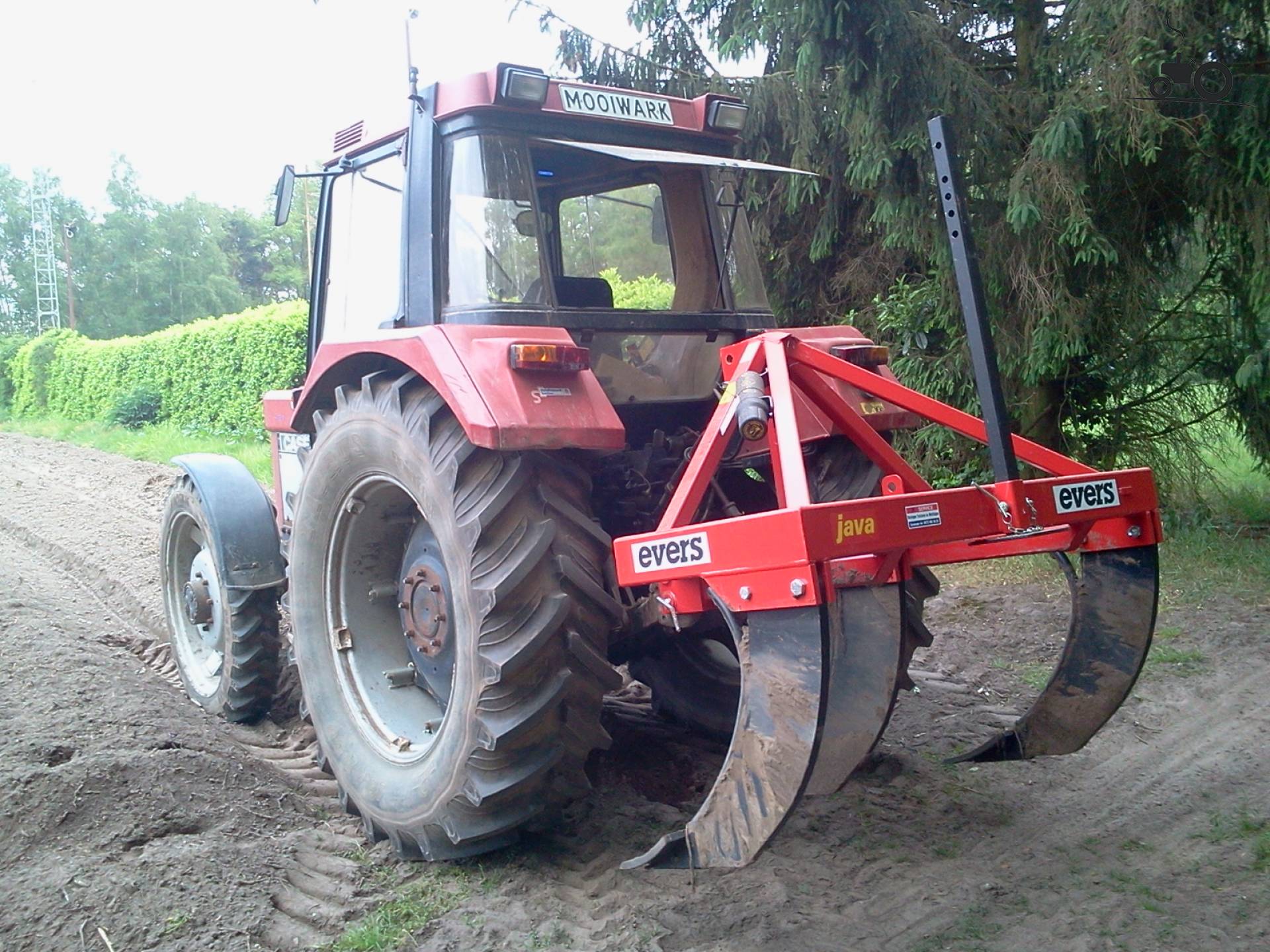 Foto Evers Java #646177