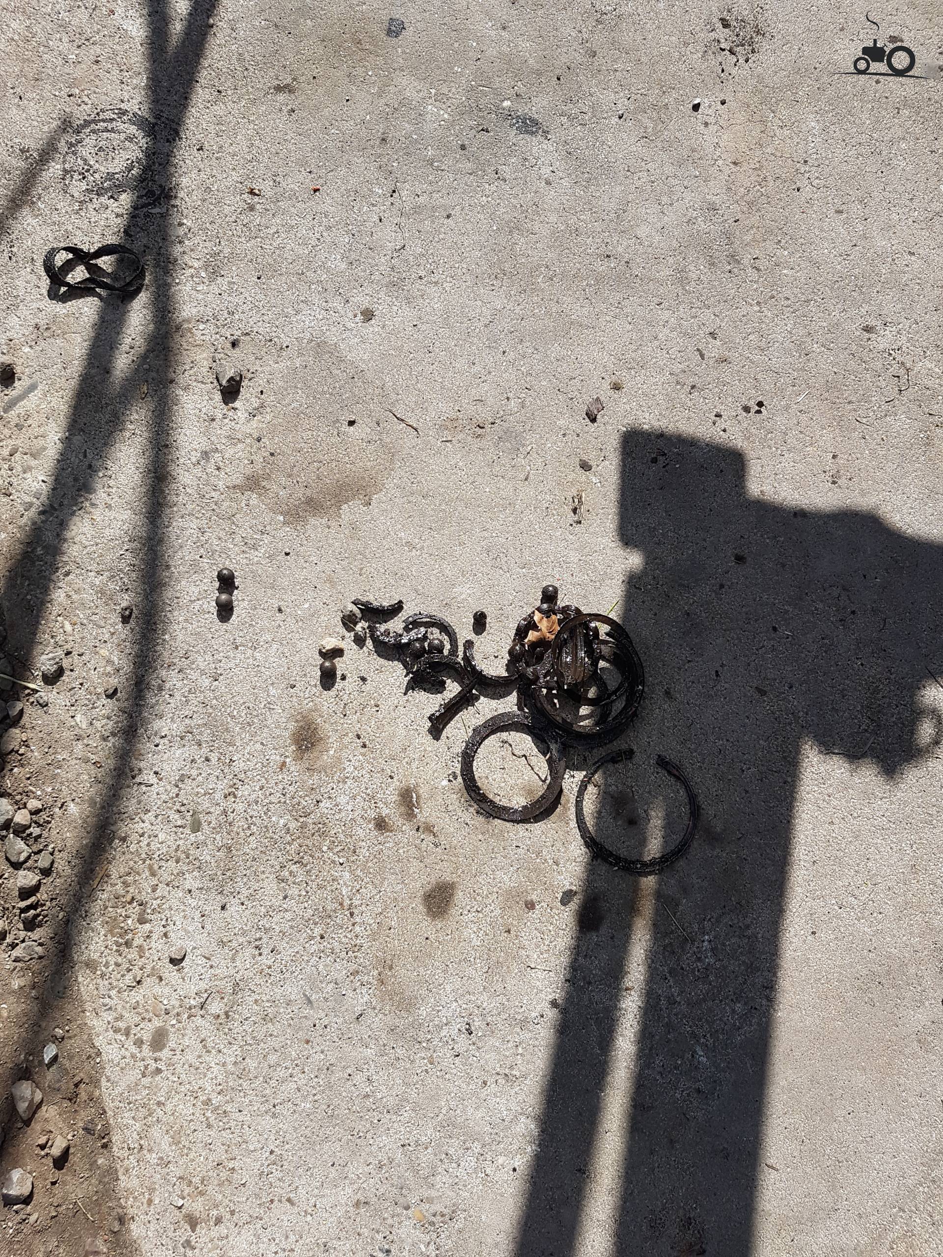 Fella schudder megazet trans fanclub - Specificaties, Foto's, Video's ...