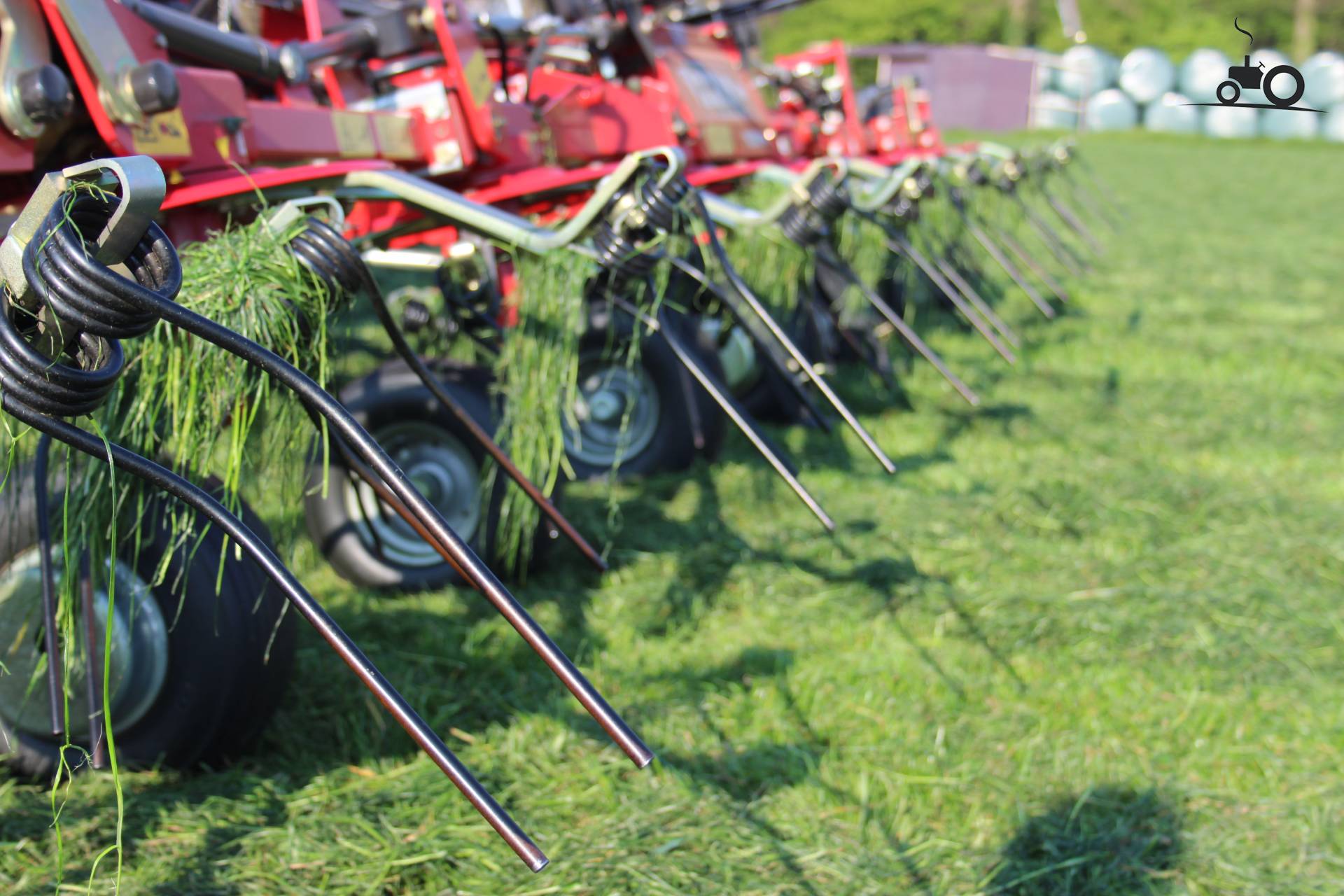 Fella schudder megazet trans fanclub - Specificaties, Foto's, Video's ...