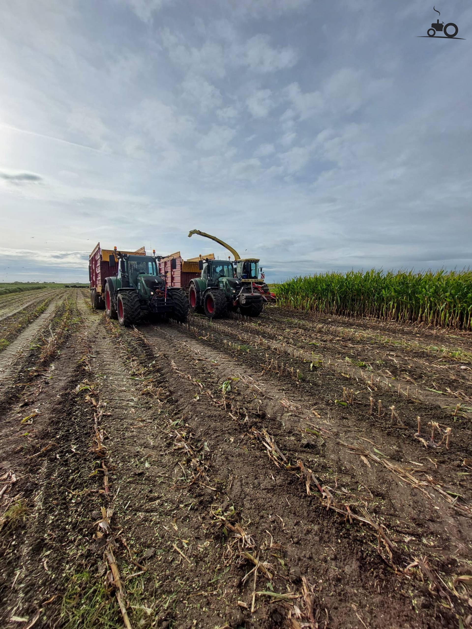 "Scheelt wel een paar kuubs per ha vergeleken met h..." — RVM