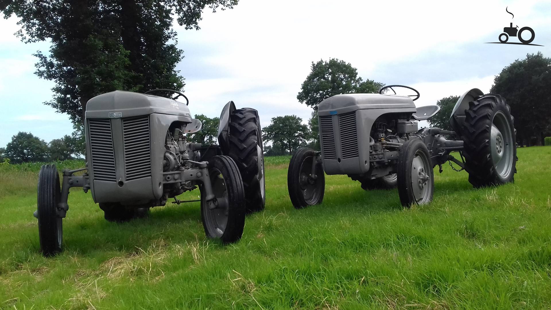 Foto Ferguson TEF 20 #1134083