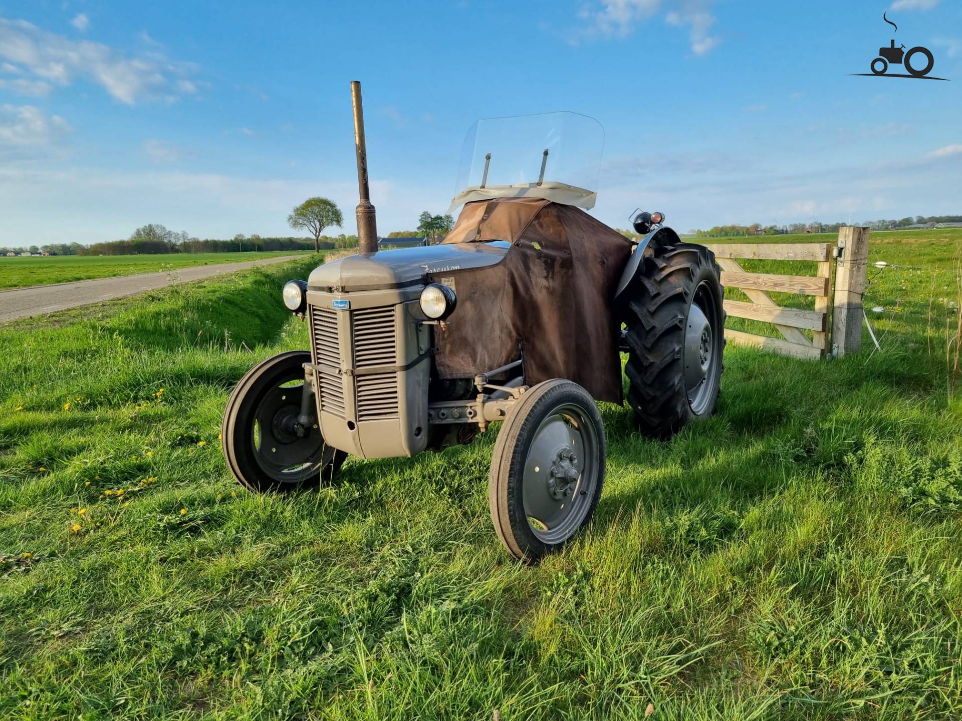 Foto Ferguson TEF 20 #1469443