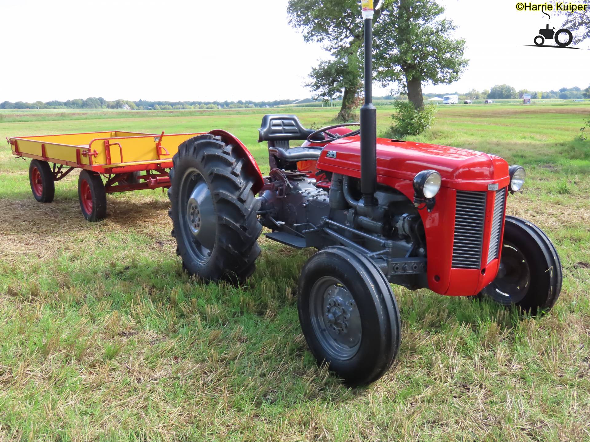 Foto Ferguson TEF #1540402