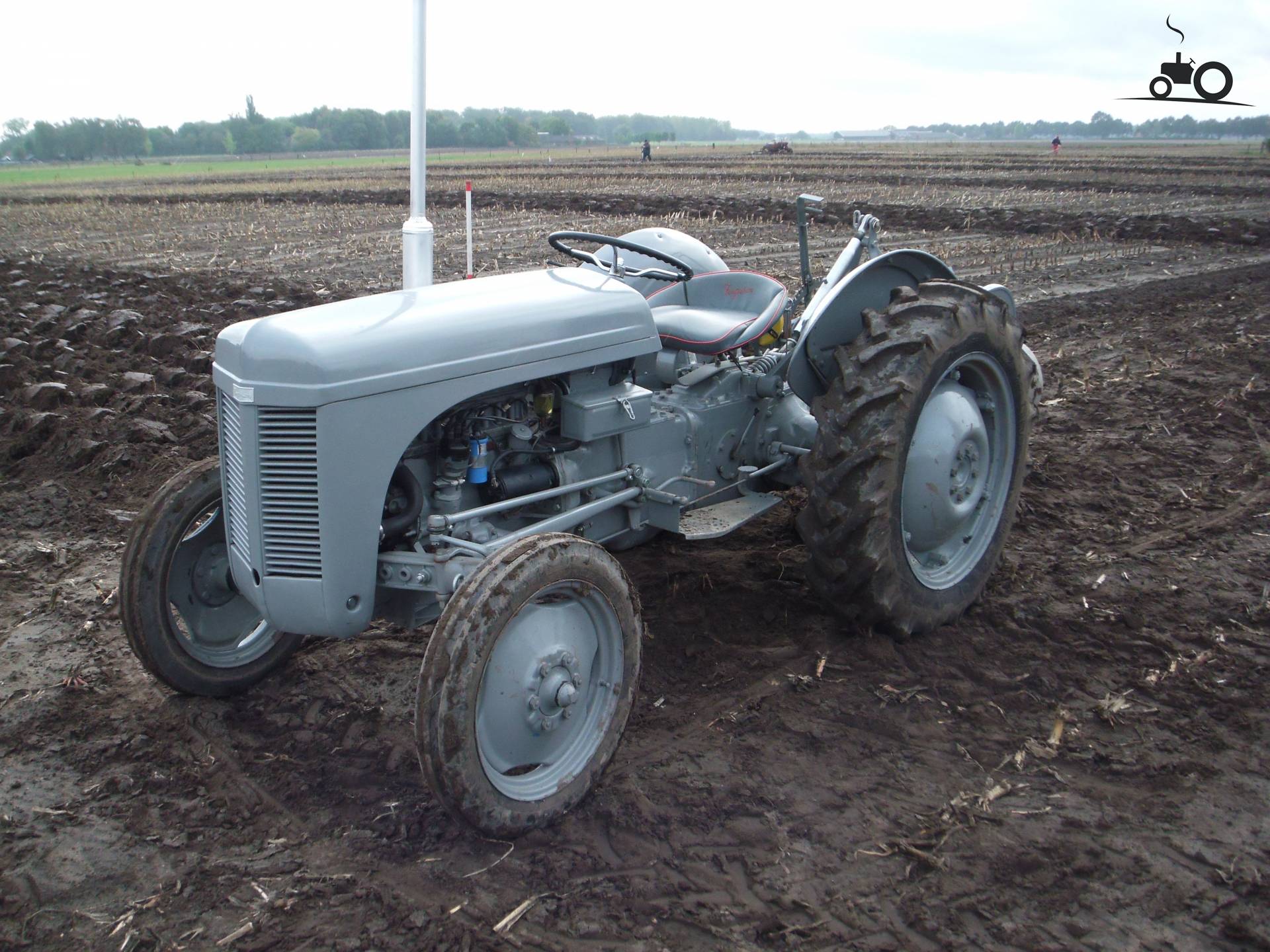 Foto Ferguson TED #695157