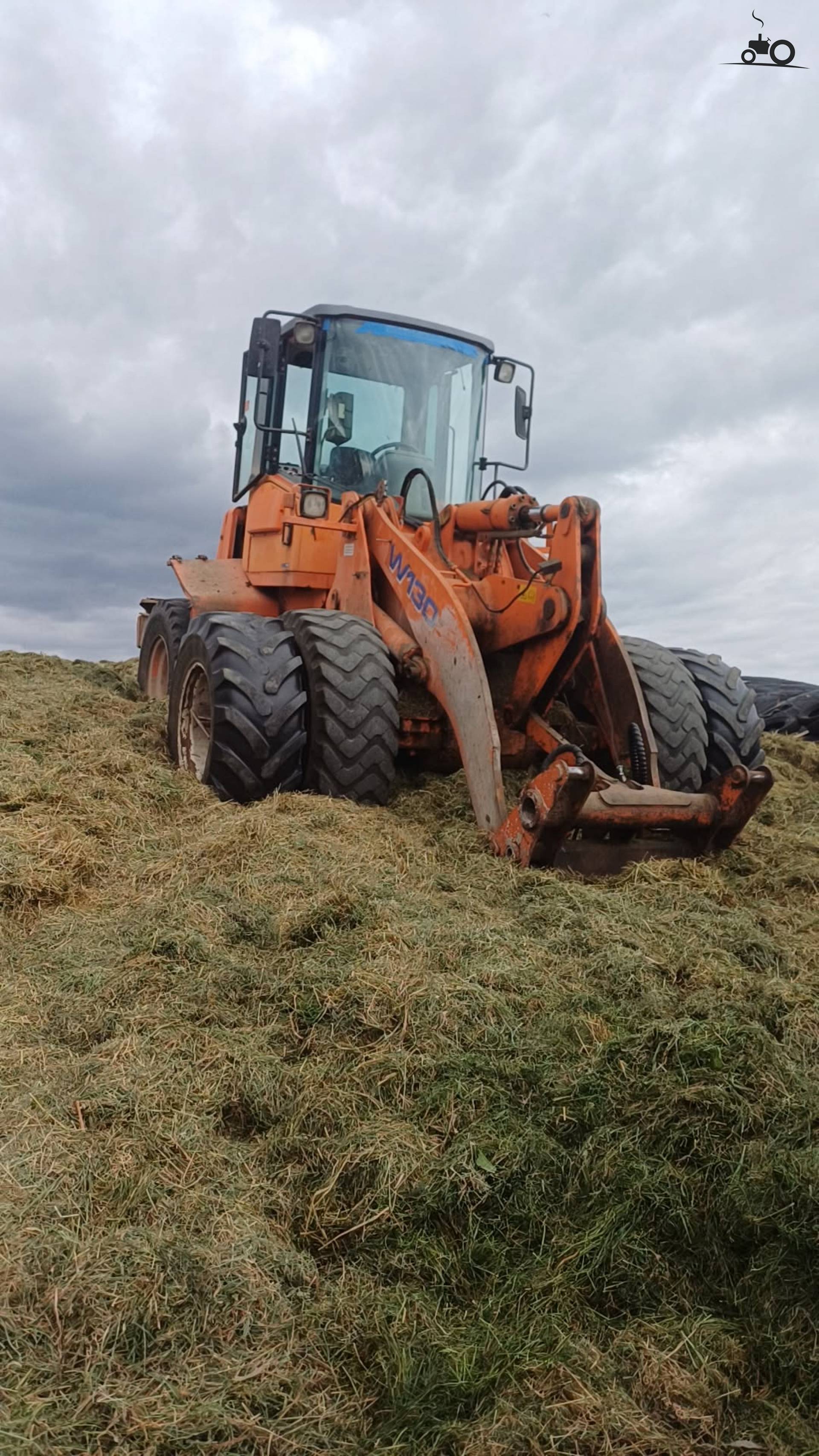 Fiat Hitachi w130 graskuil aanrijden